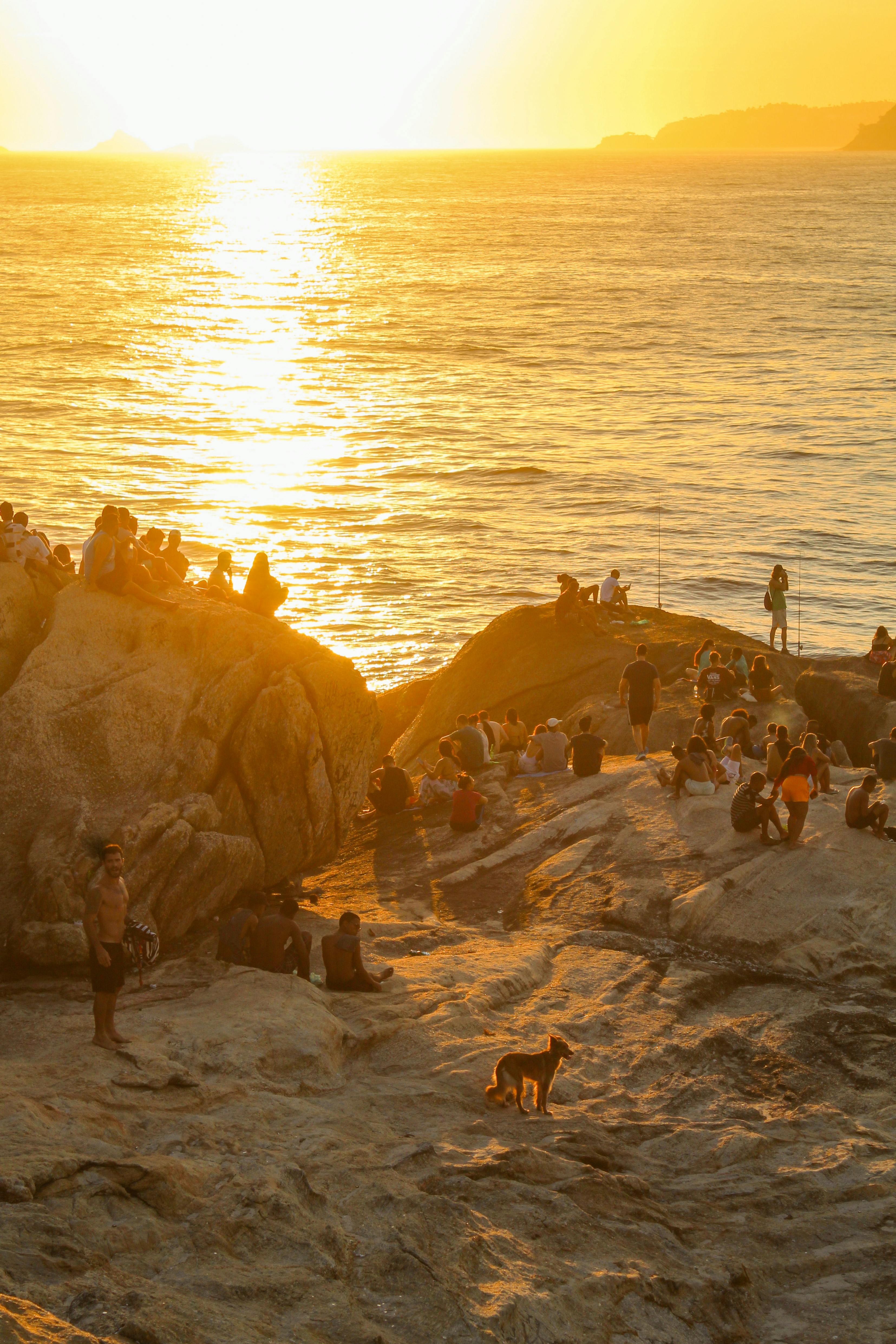 People on Beach during Sunset · Free Stock Photo