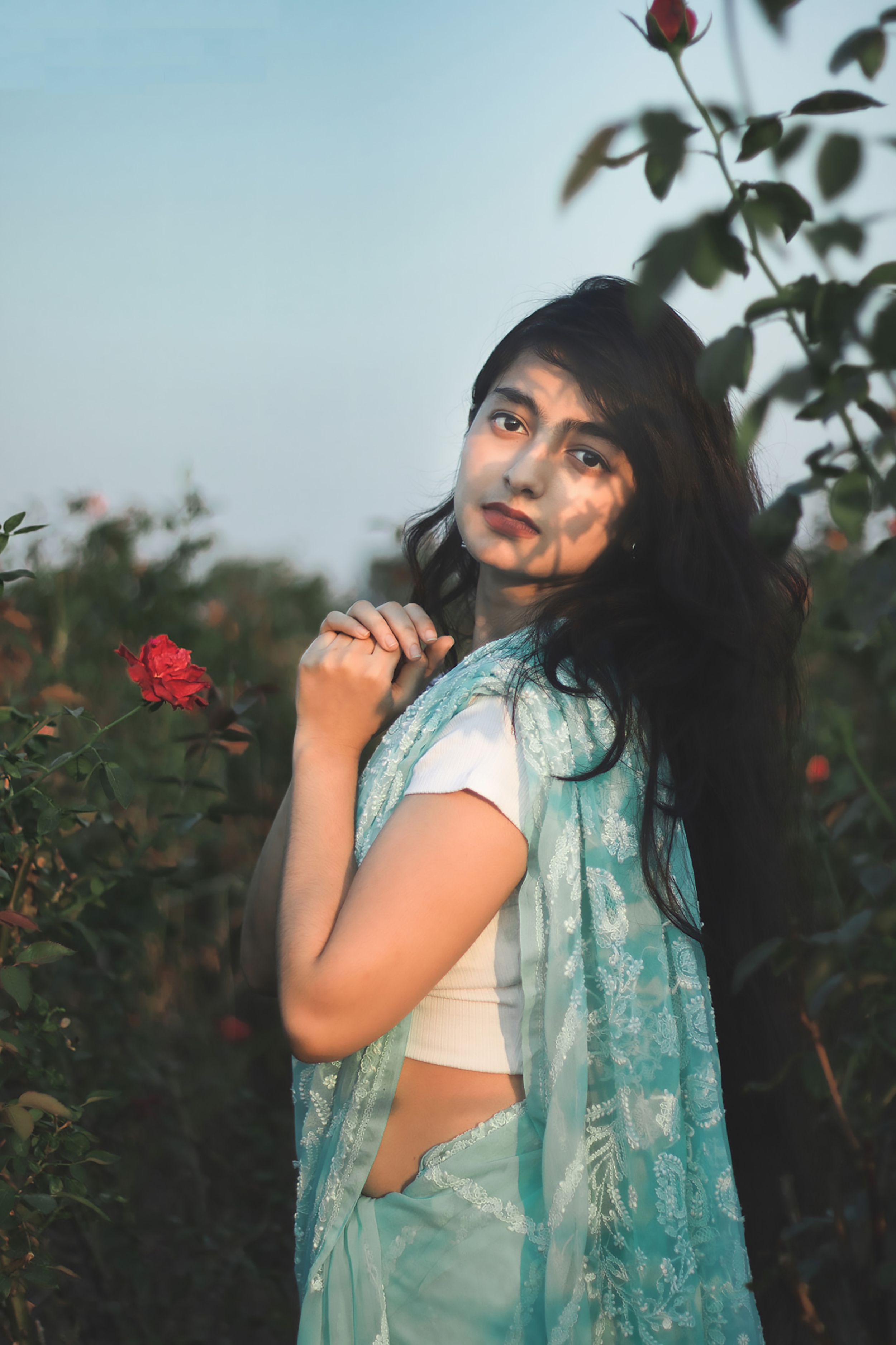 Blue Saree Photos, Download The BEST Free Blue Saree Stock Photos & HD ...