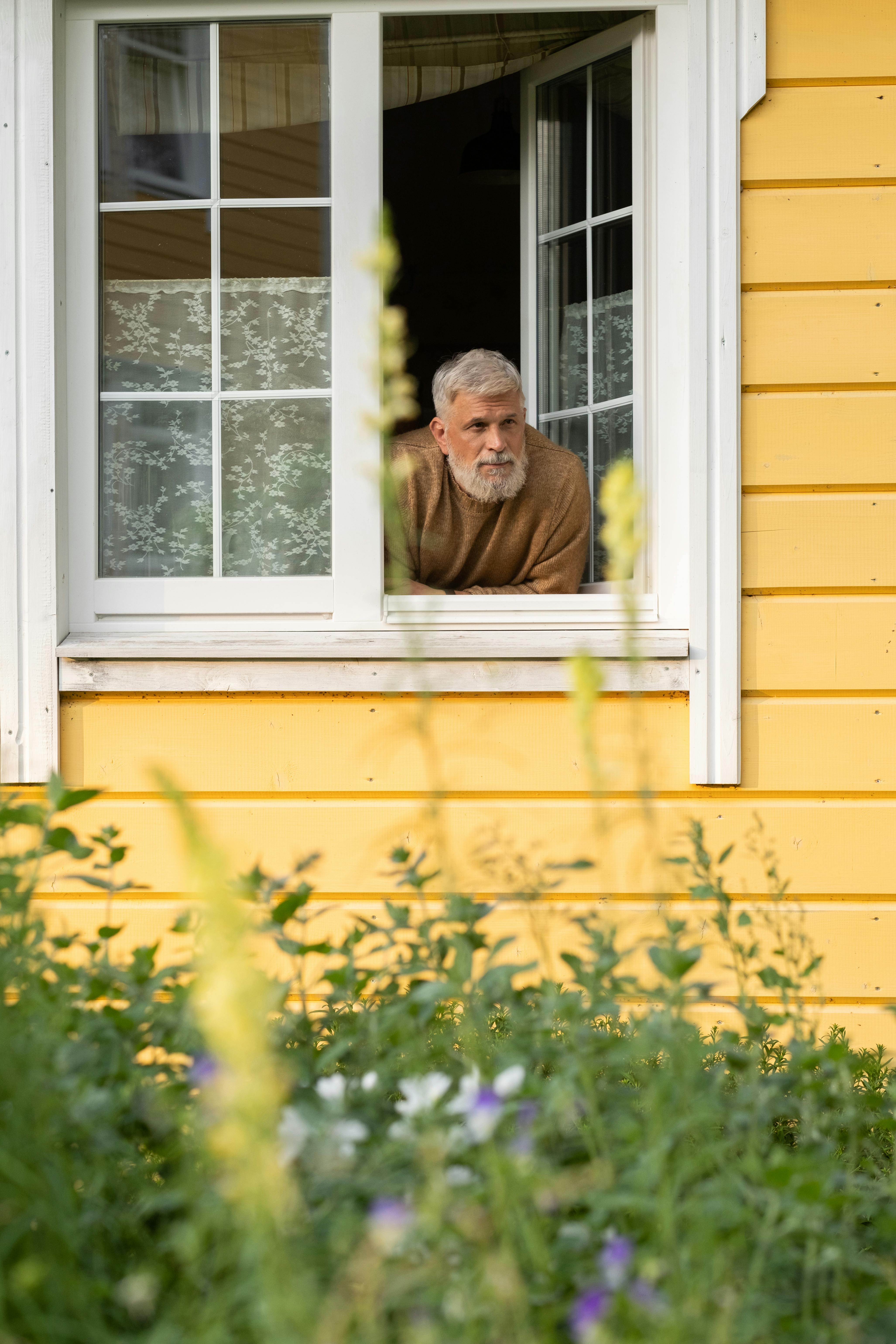 Window Looking Out To A Garden Photos, Download The BEST Free Window ...