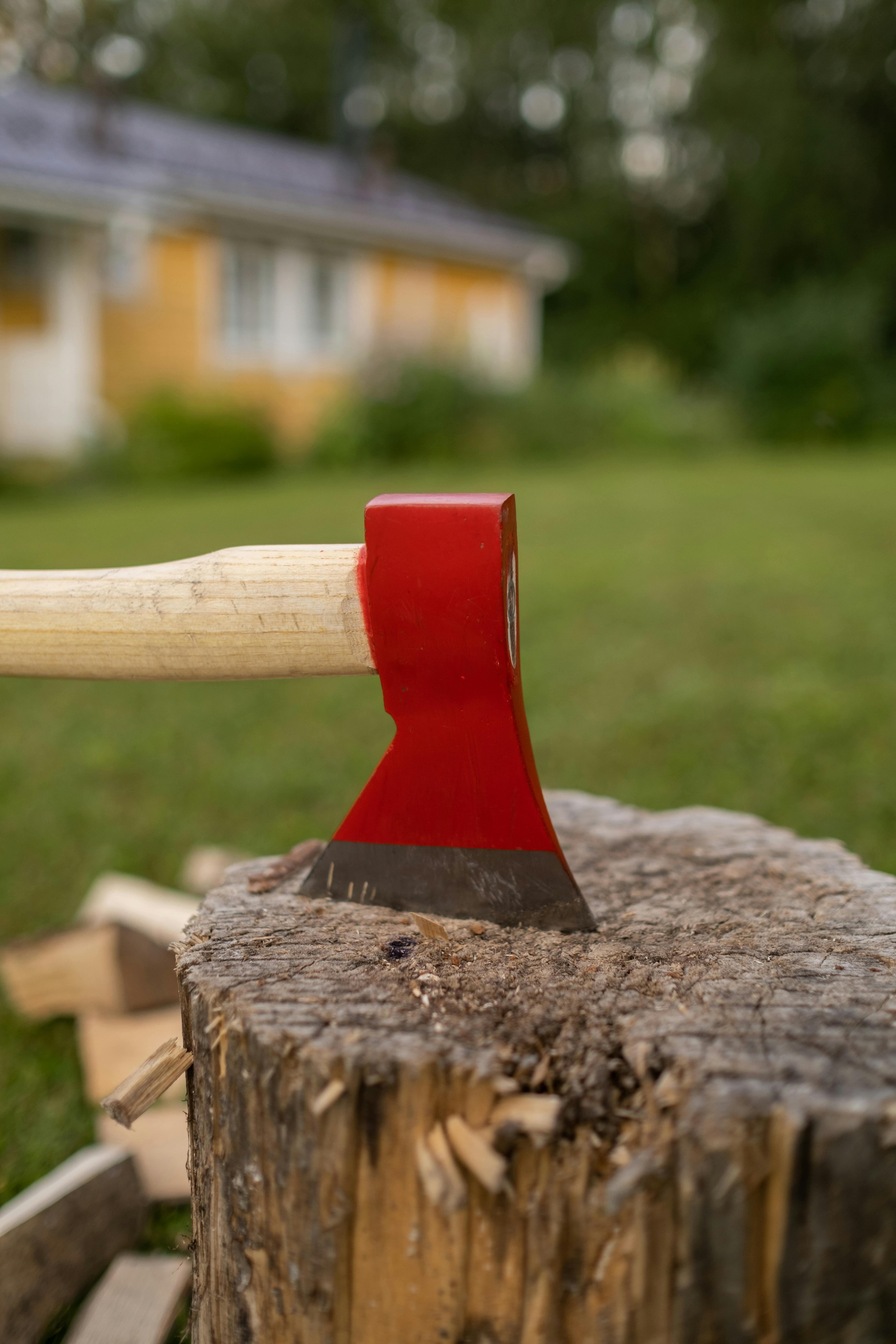 Axe Stuck in Trunk · Free Stock Photo