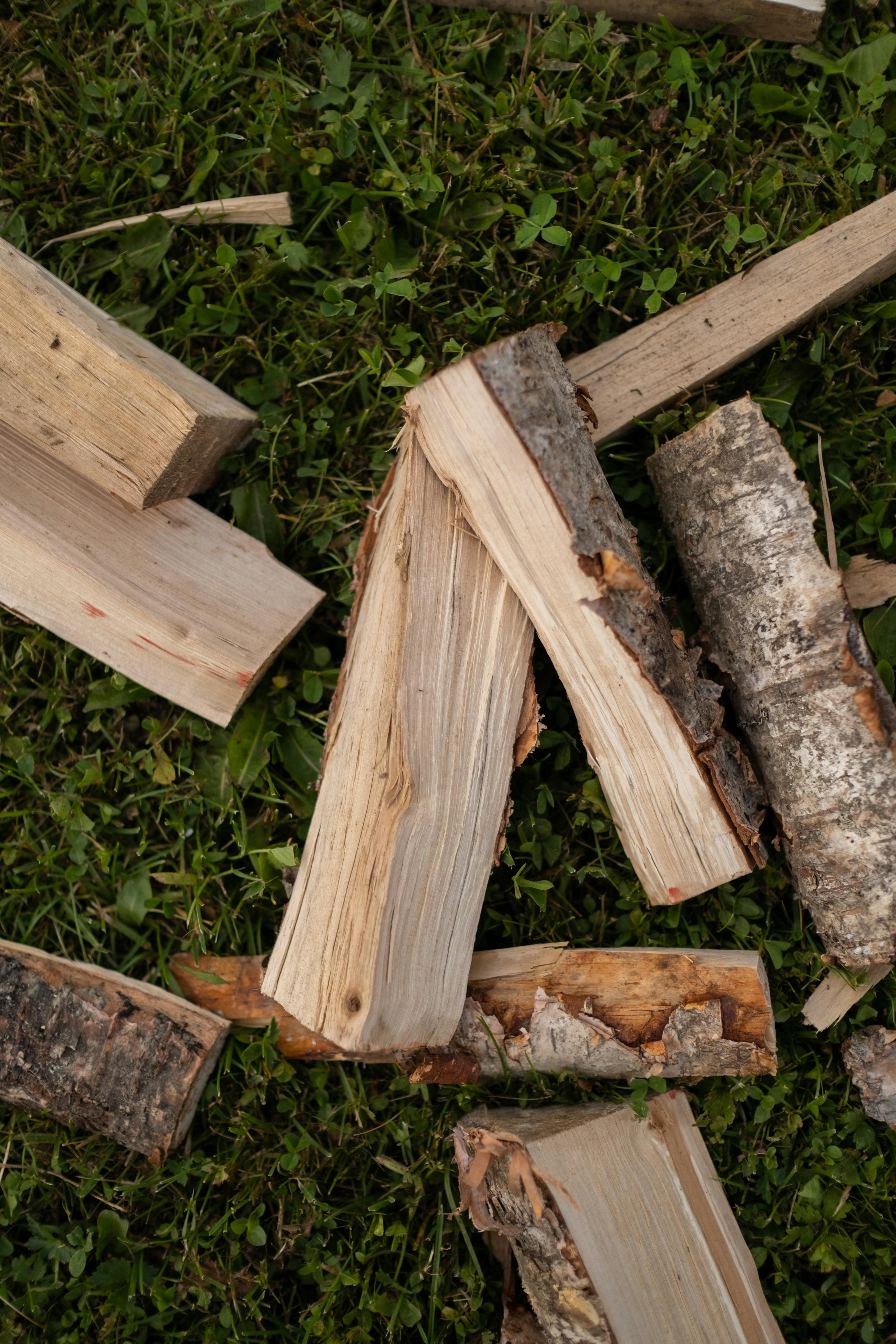 Close up on chopped timber · Free Stock Photo