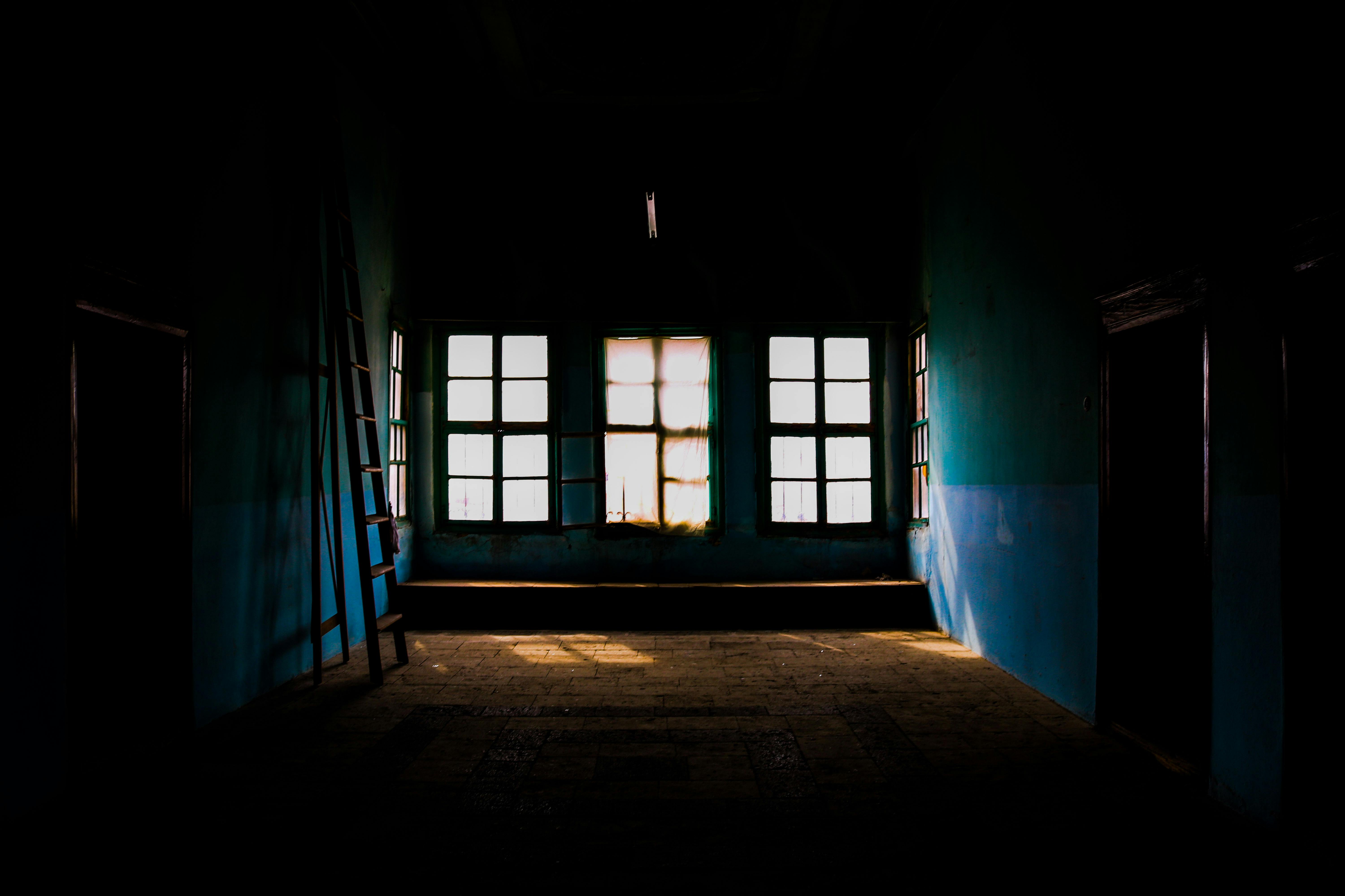 Bamboo Ladder · Free Stock Photo