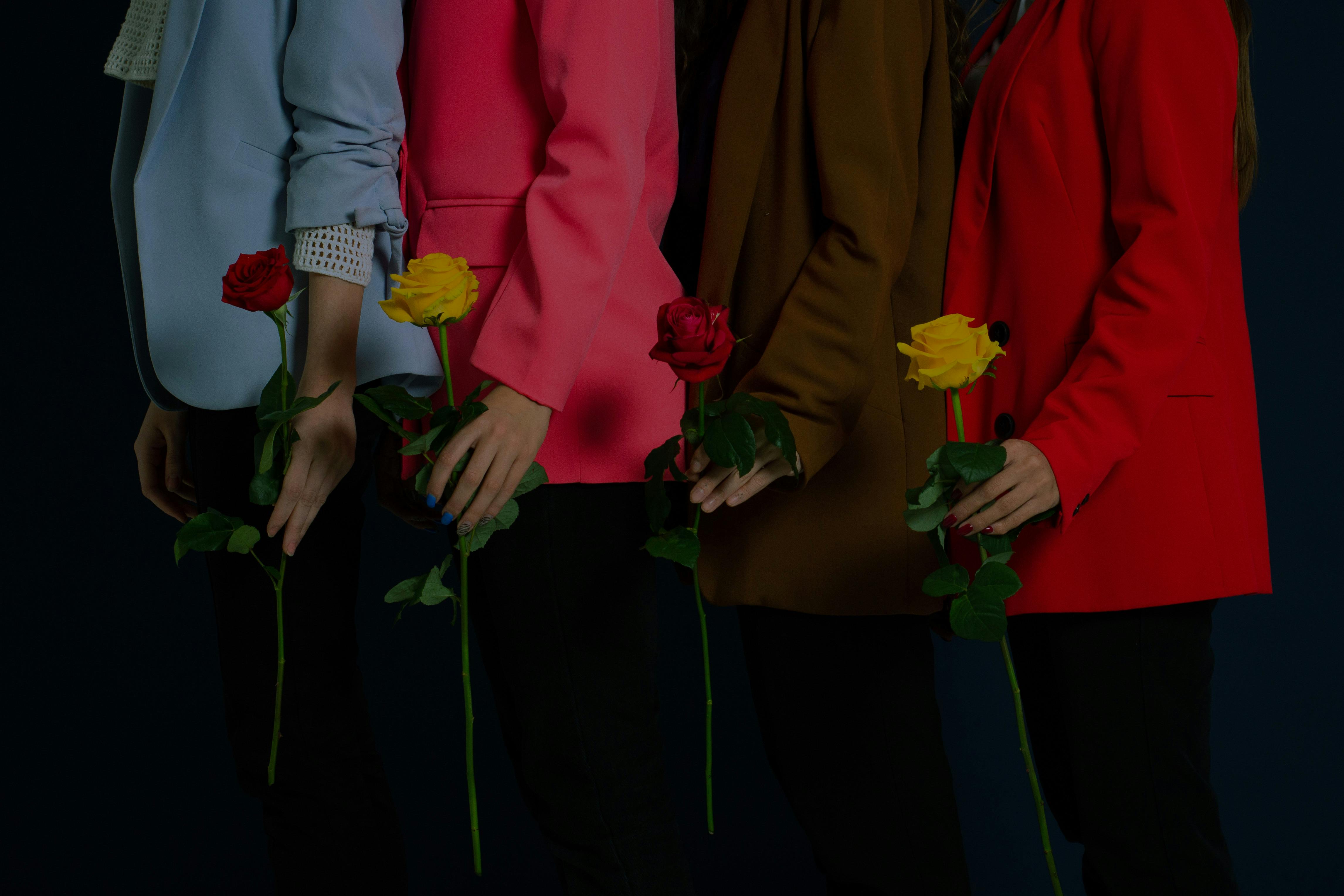 Row Of Roses Photos, Download The BEST Free Row Of Roses Stock Photos ...