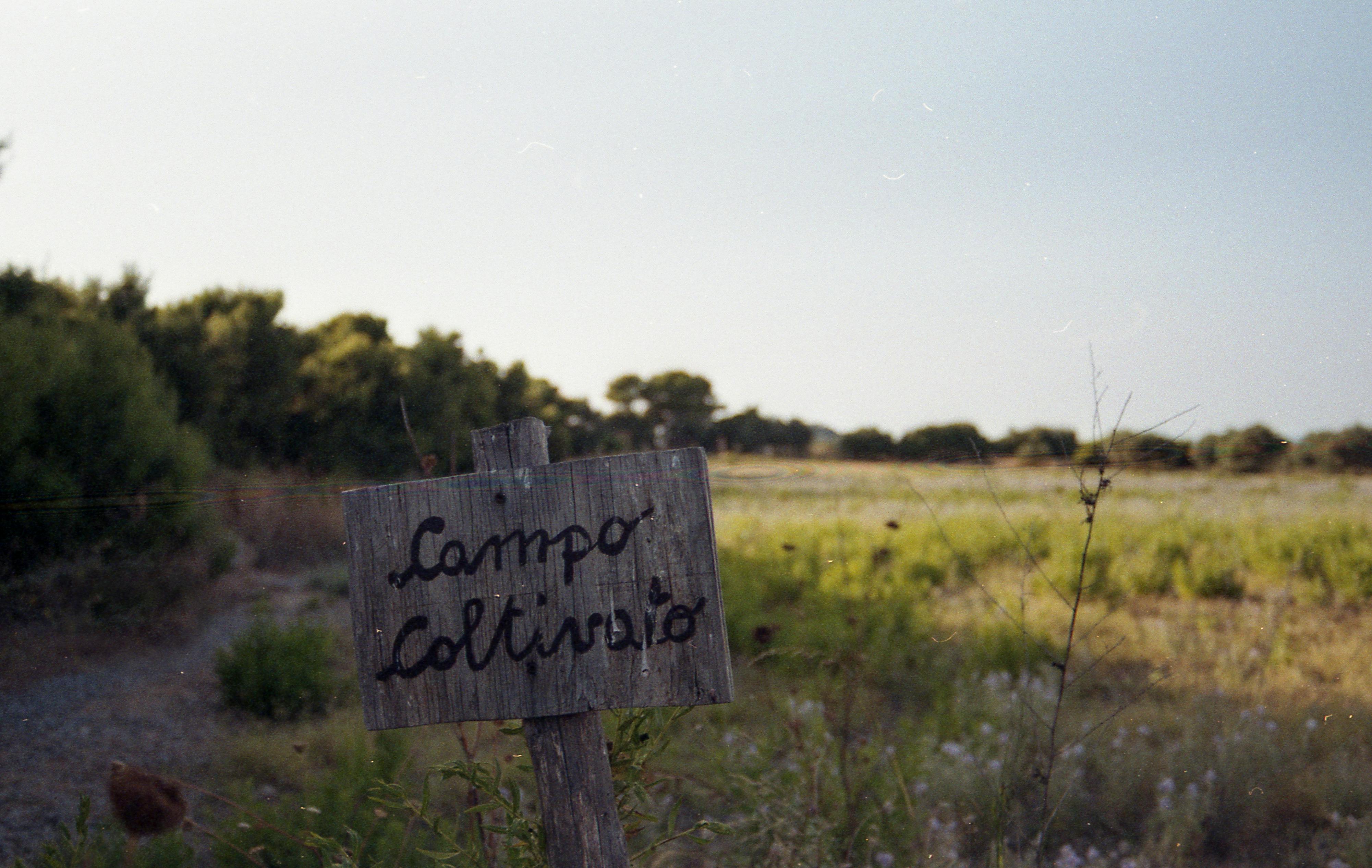 Intellectual Property Photos, Download The BEST Free Intellectual ...