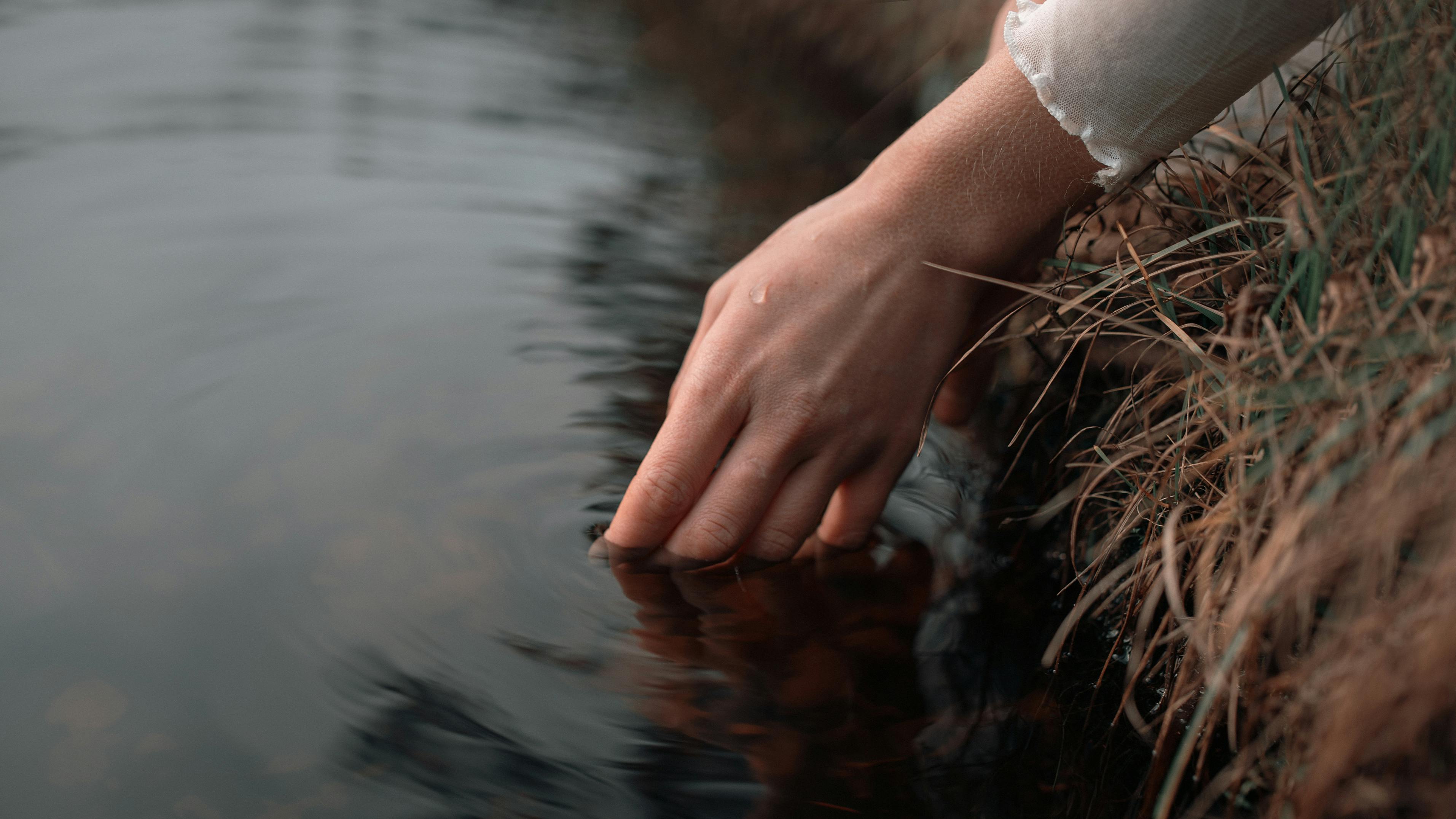 Hand Touching a White Flower Head Floating in Water · Free Stock Photo