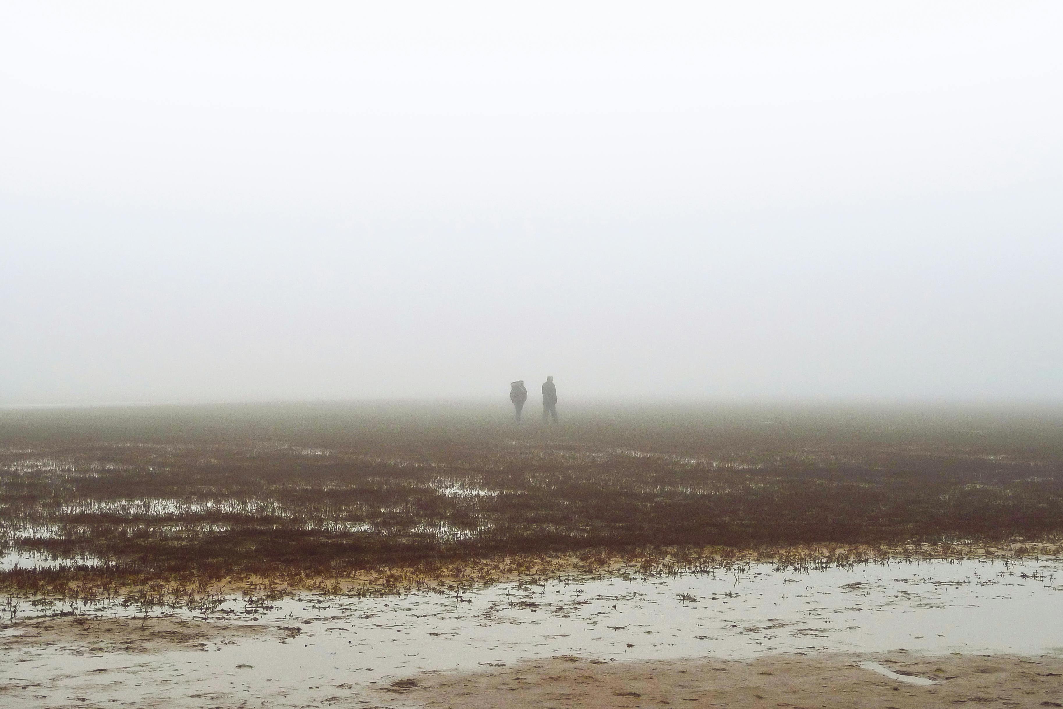 Two People Walking on Fog Covered Field · Free Stock Photo