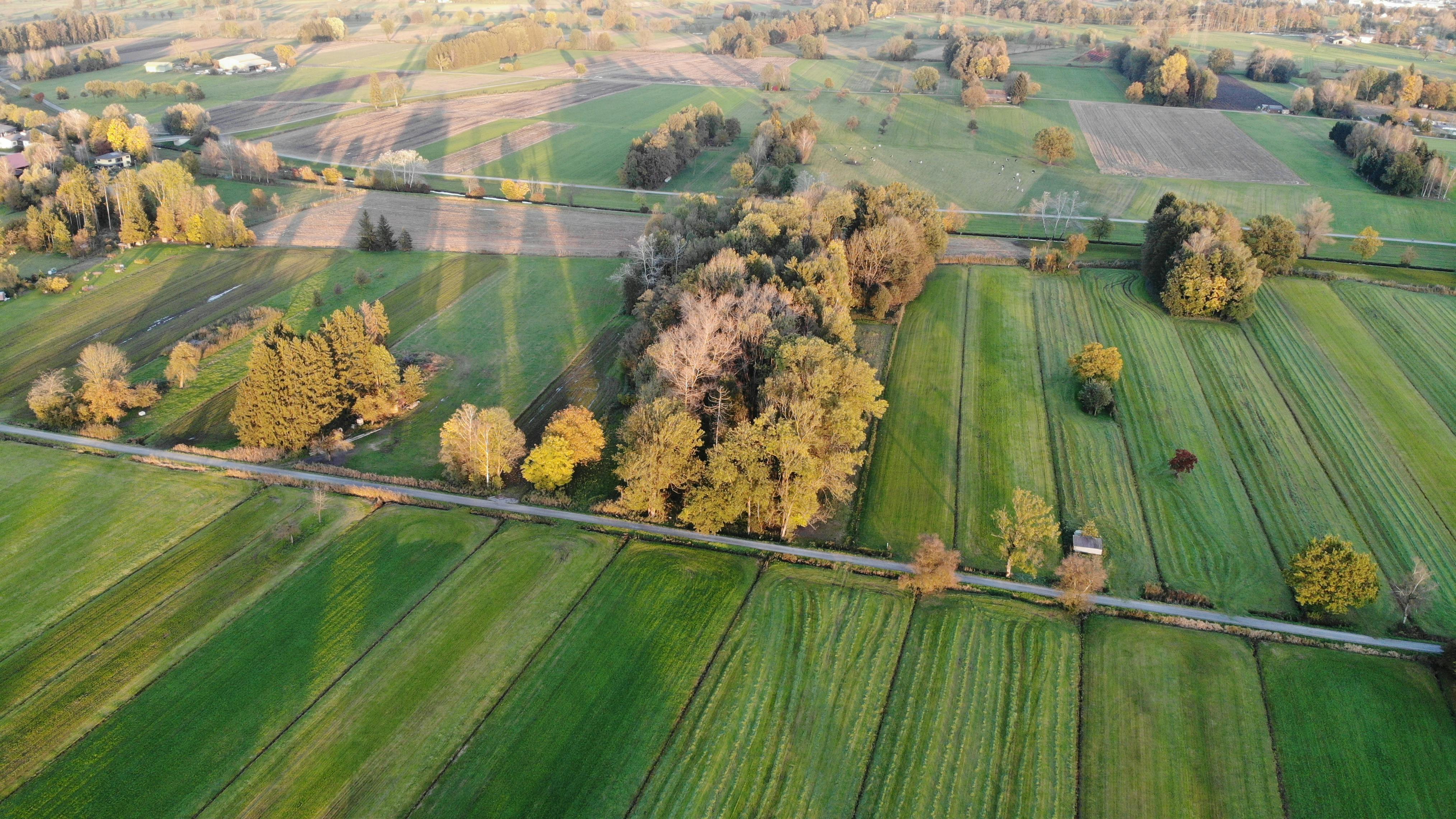 Aerial View of a Cropland · Free Stock Photo