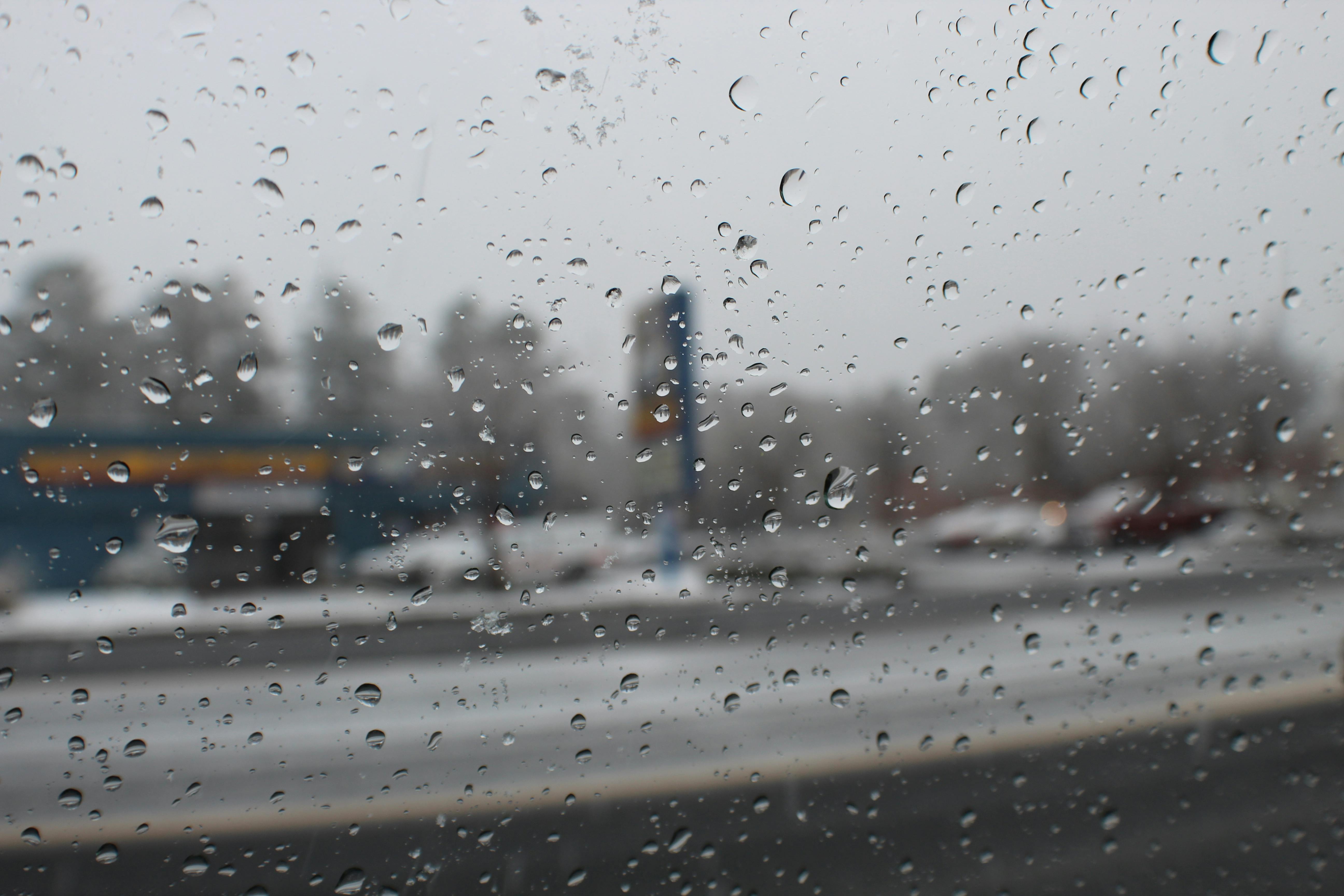 Haley Dolan - 사진