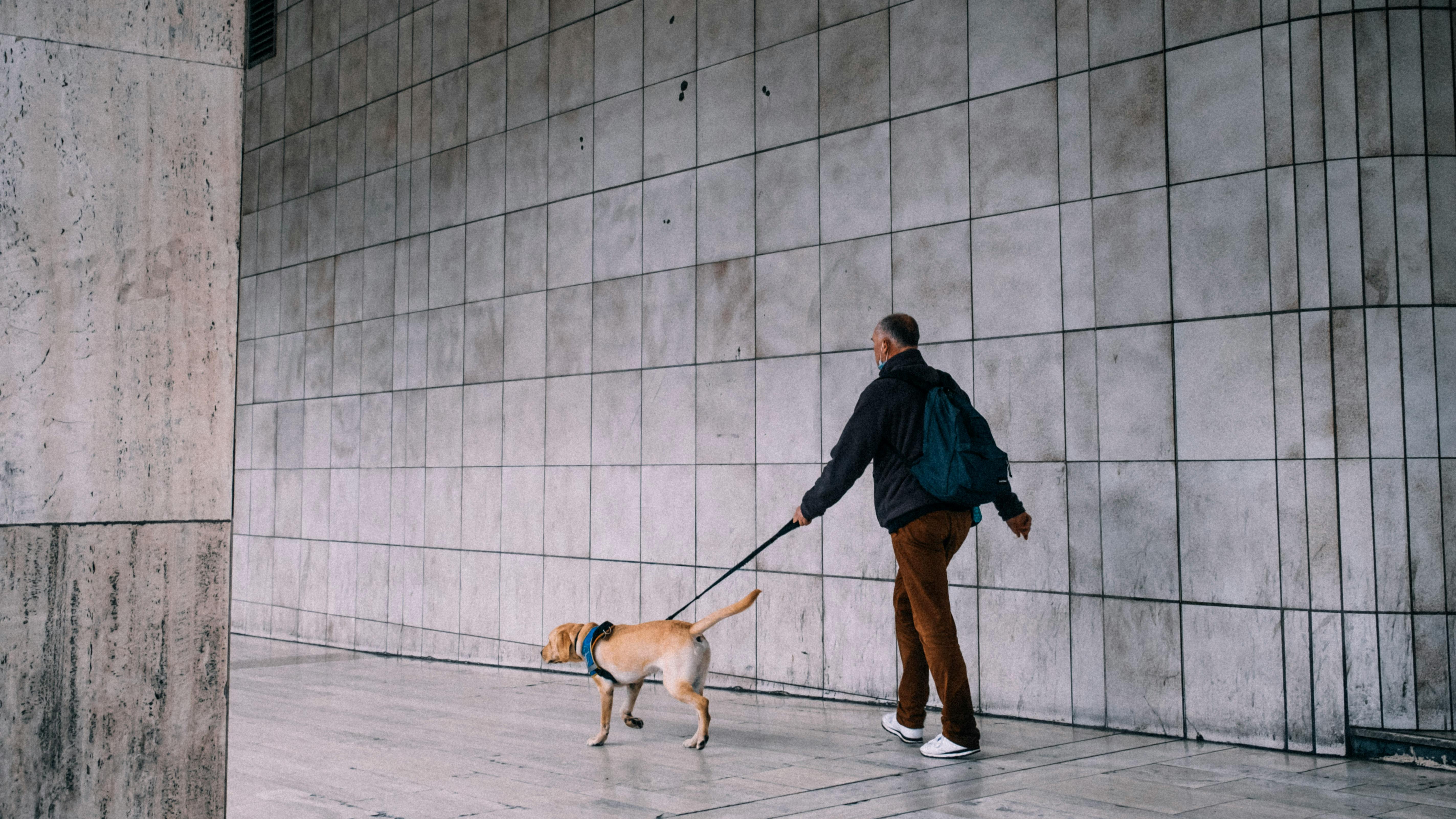 Man Walking Dog on Sidewalk · Free Stock Photo
