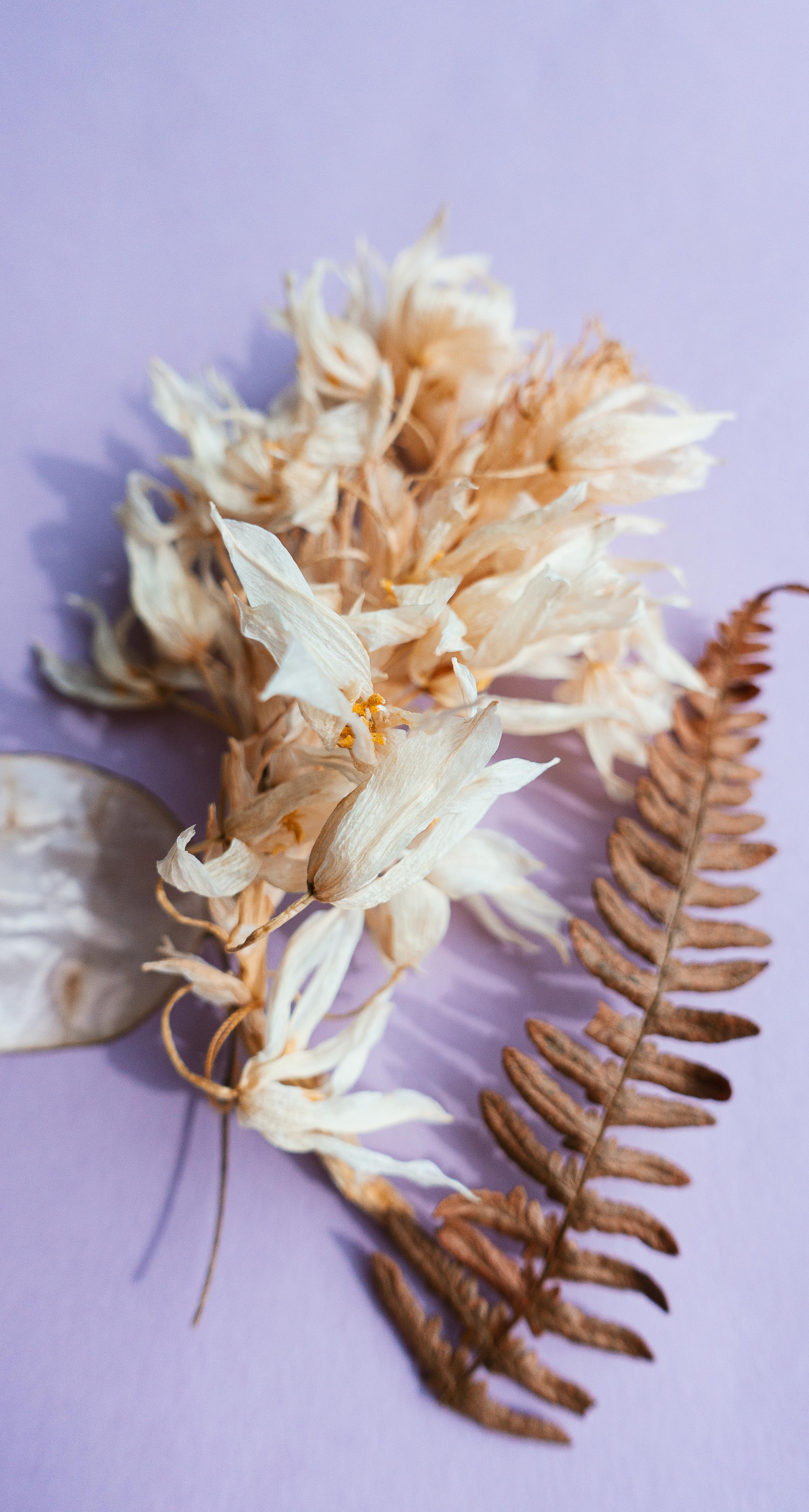 Dry Series Photos, Download The BEST Free Dry Series Stock Photos & HD ...