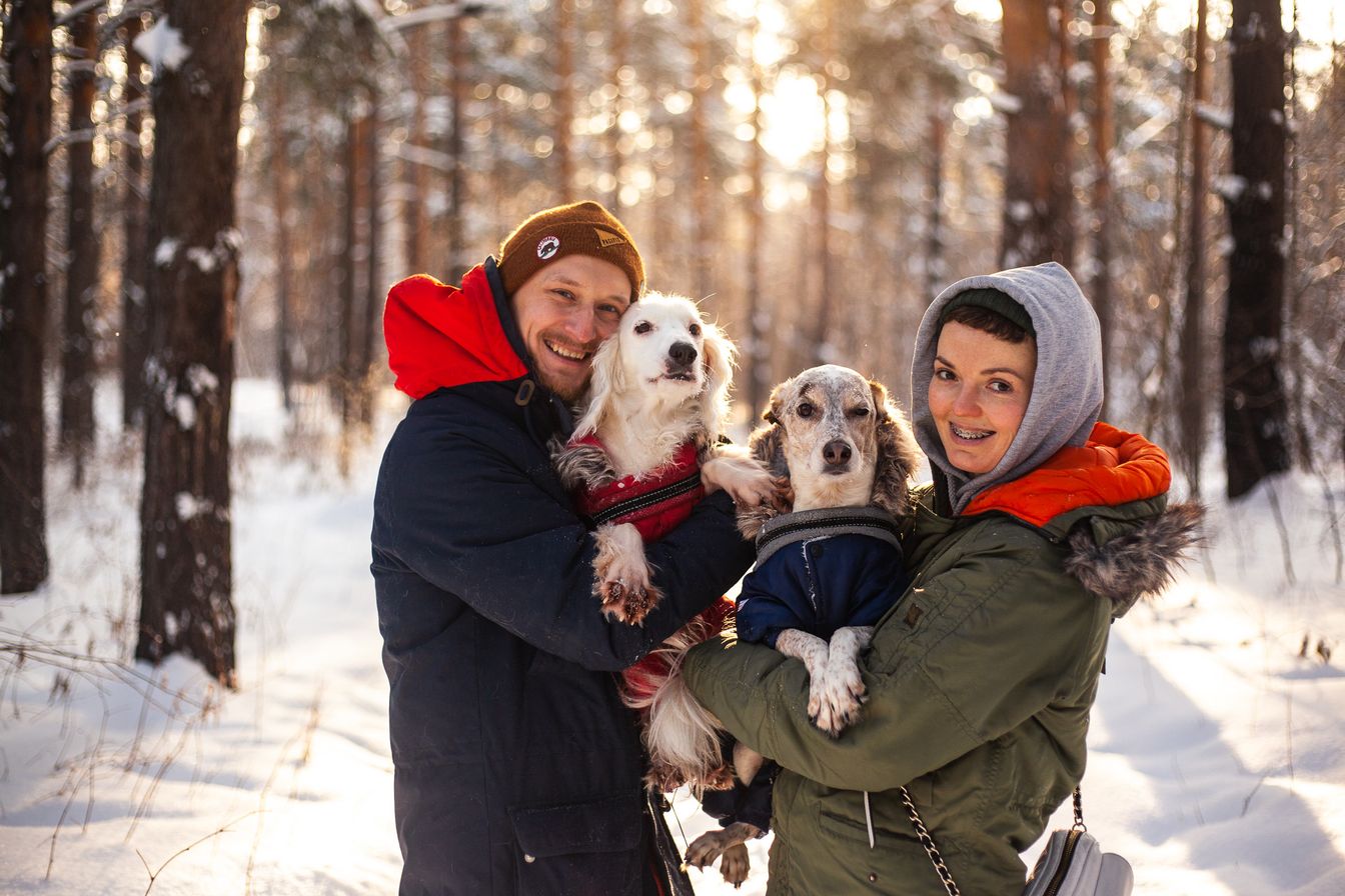 When Did Dogs Become Pets: A History of Canine Companionship