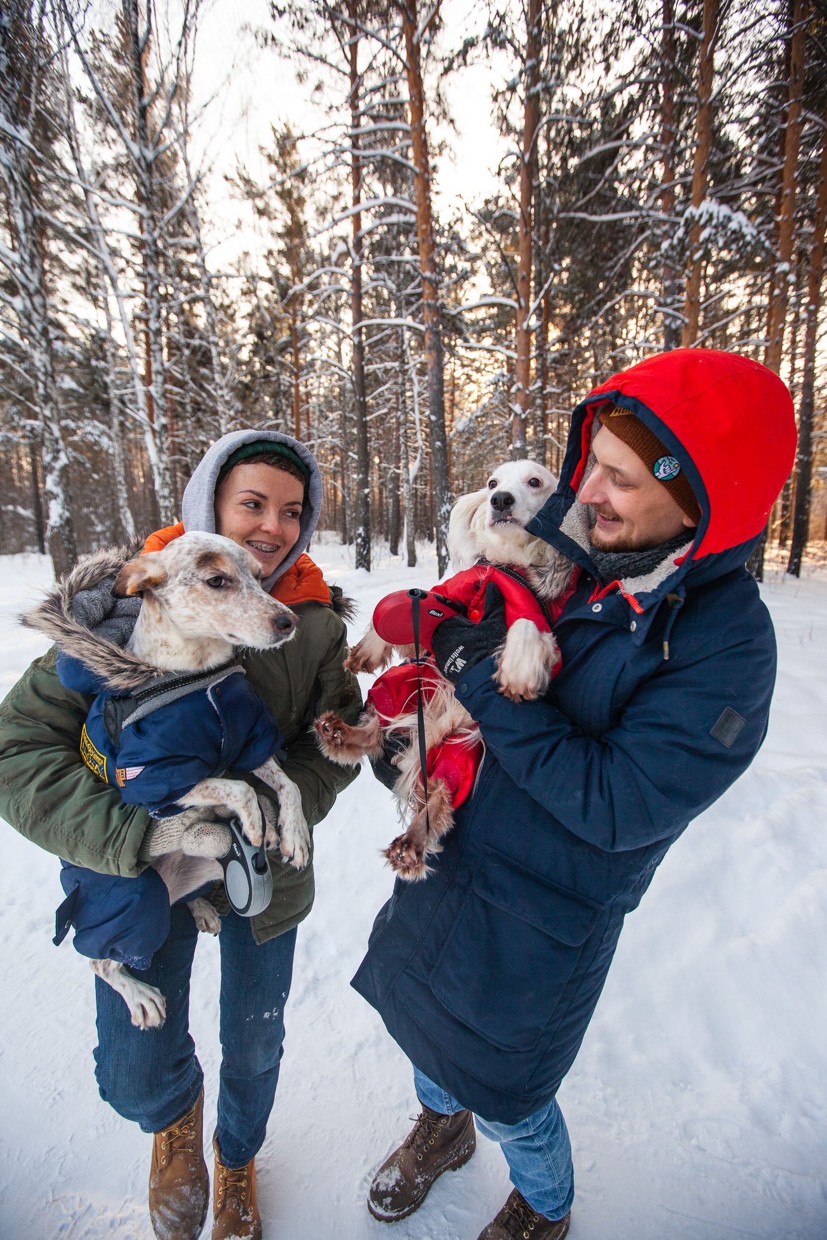Man and Woman Carrying their Dogs in the Forest · Free Stock Photo