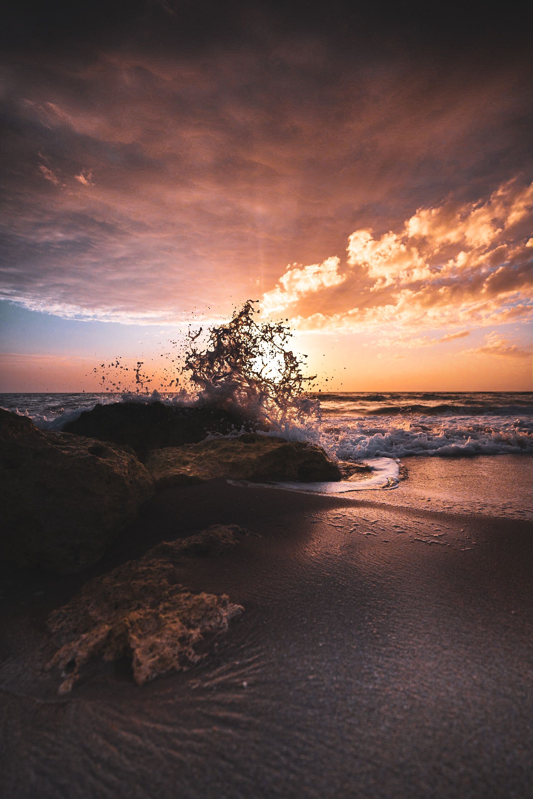 Florida Nature Photos, Download The BEST Free Florida Nature Stock ...