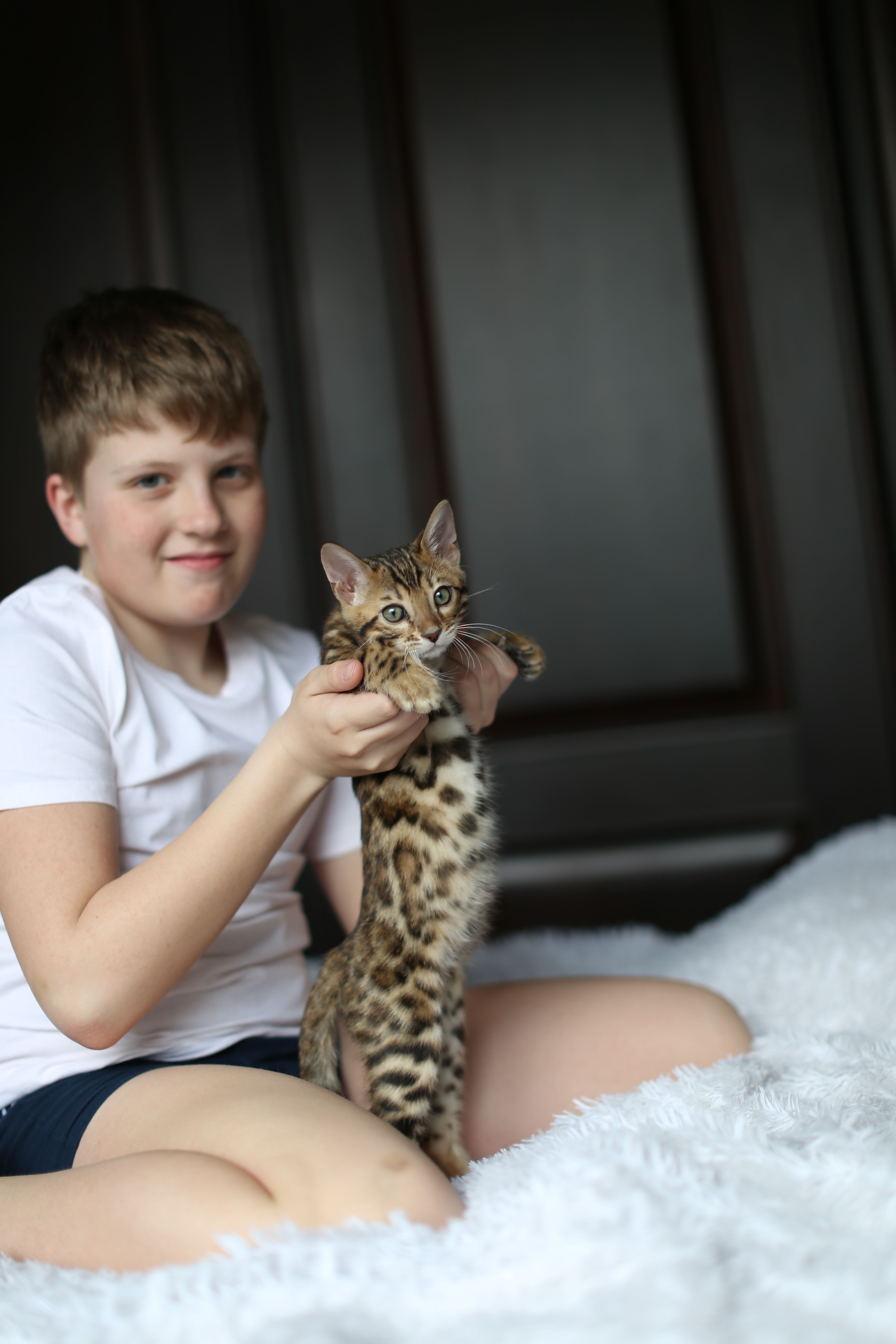 Smiling Boy with Cat · Free Stock Photo