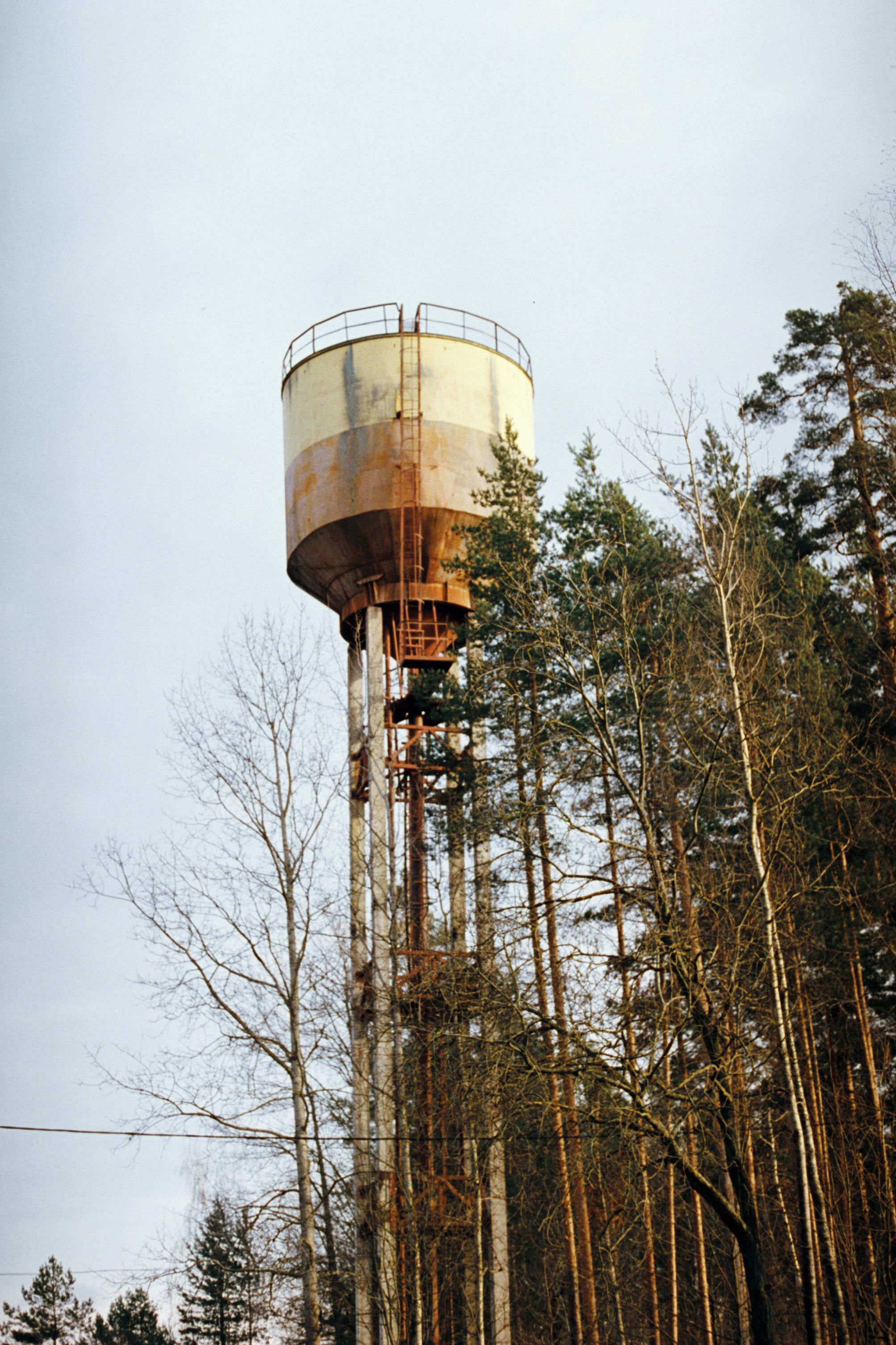 Trees Near a Water Tower · Free Stock Photo