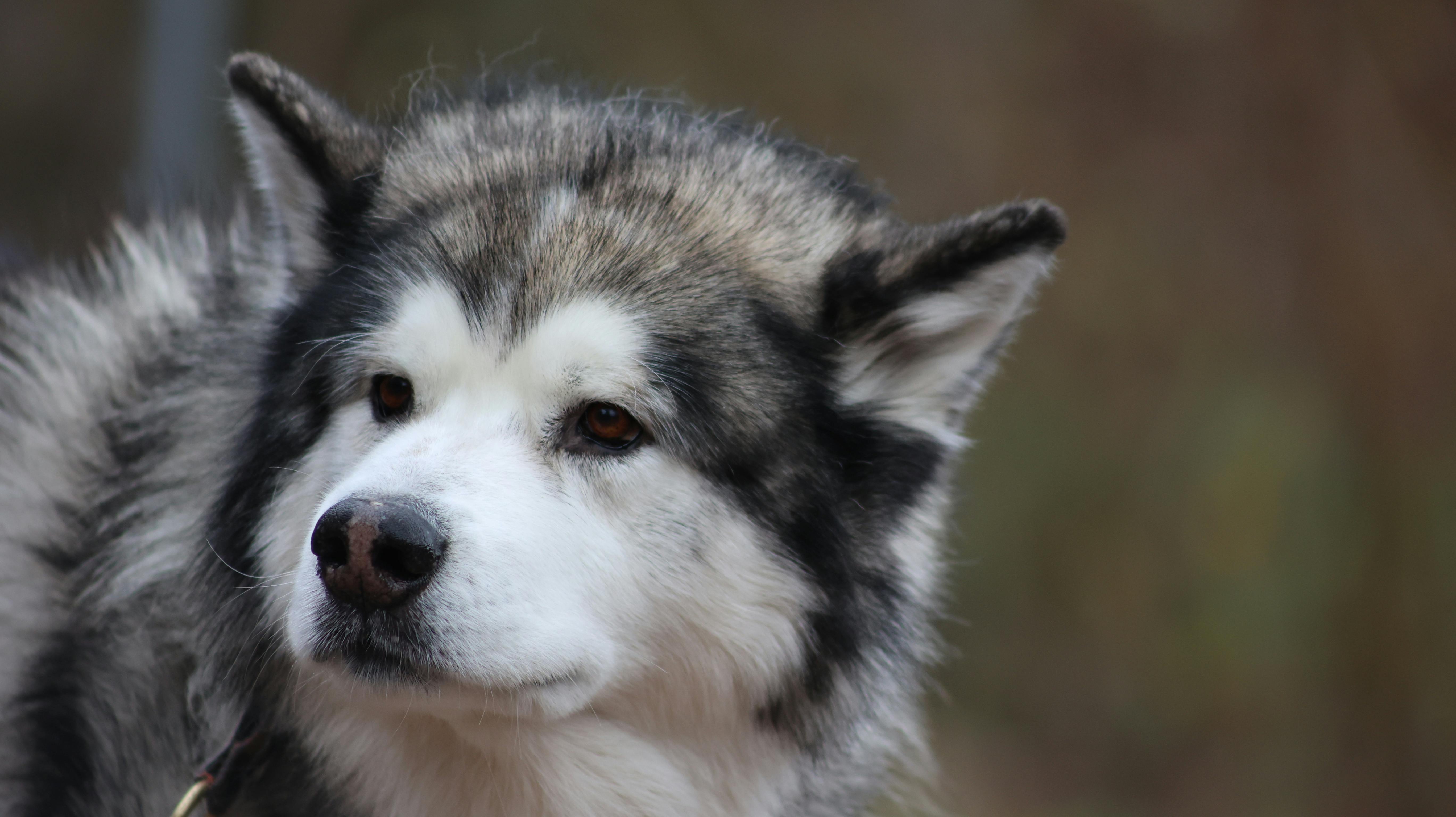 light wizzi - Photography