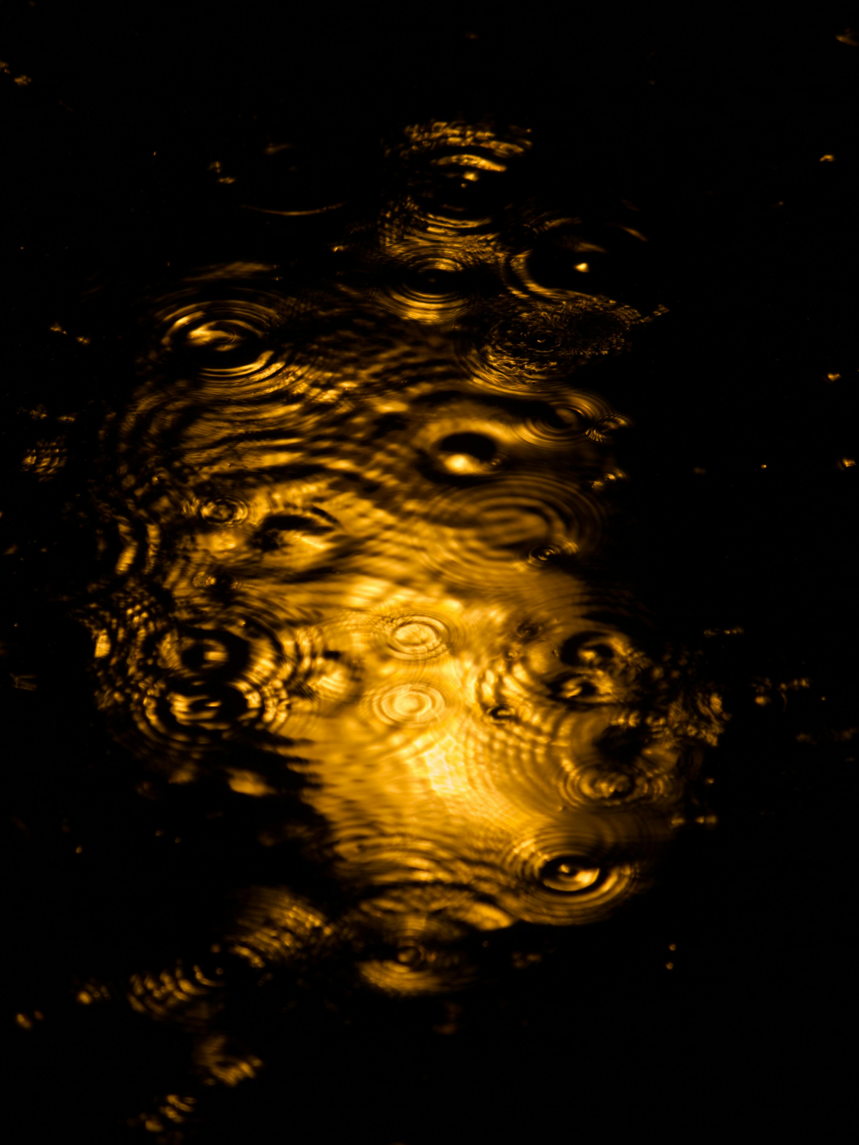 Midnight Wave Photos, Download The BEST Free Midnight Wave Stock Photos ...