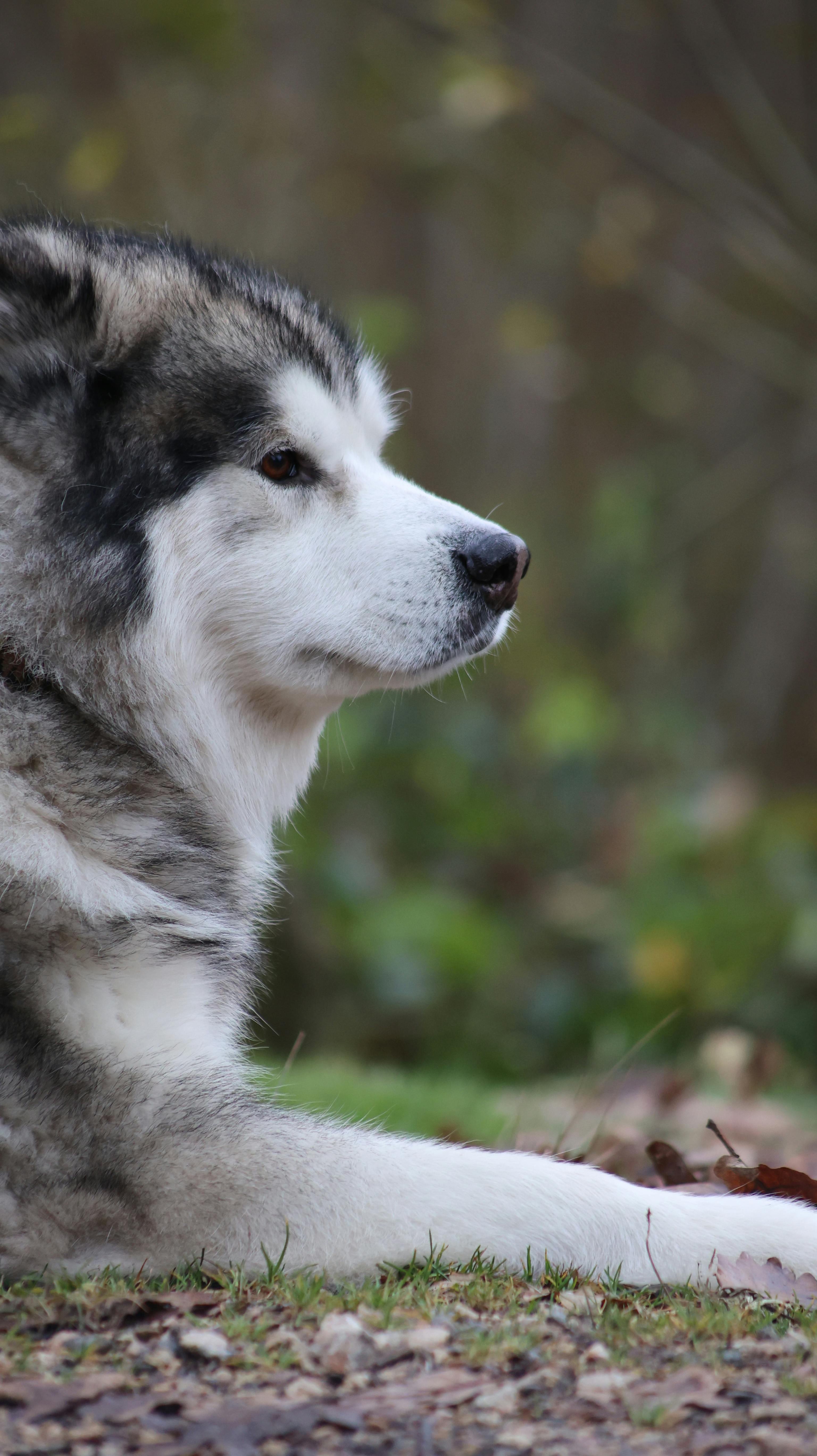 light wizzi - Photography