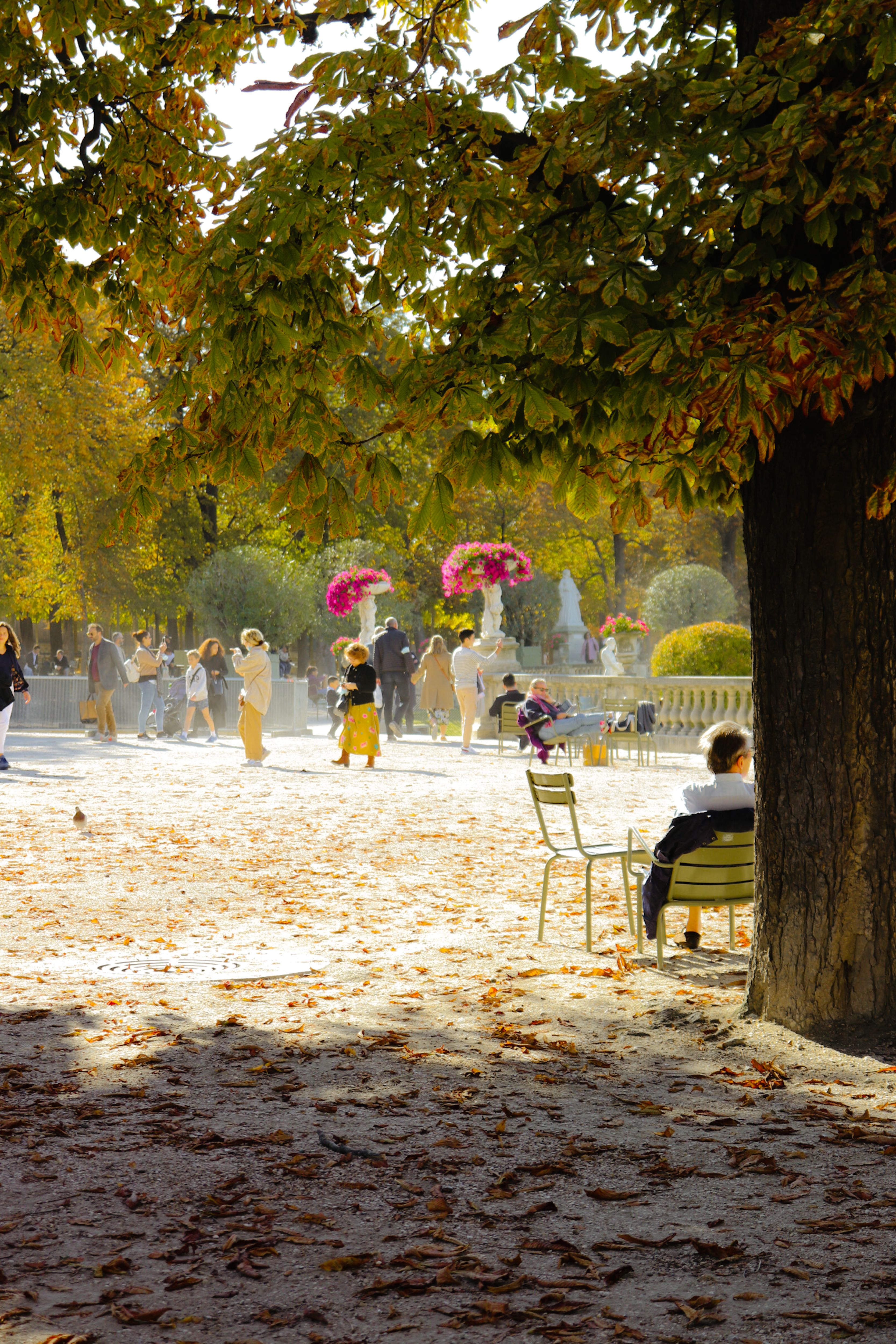 People in Park · Free Stock Photo