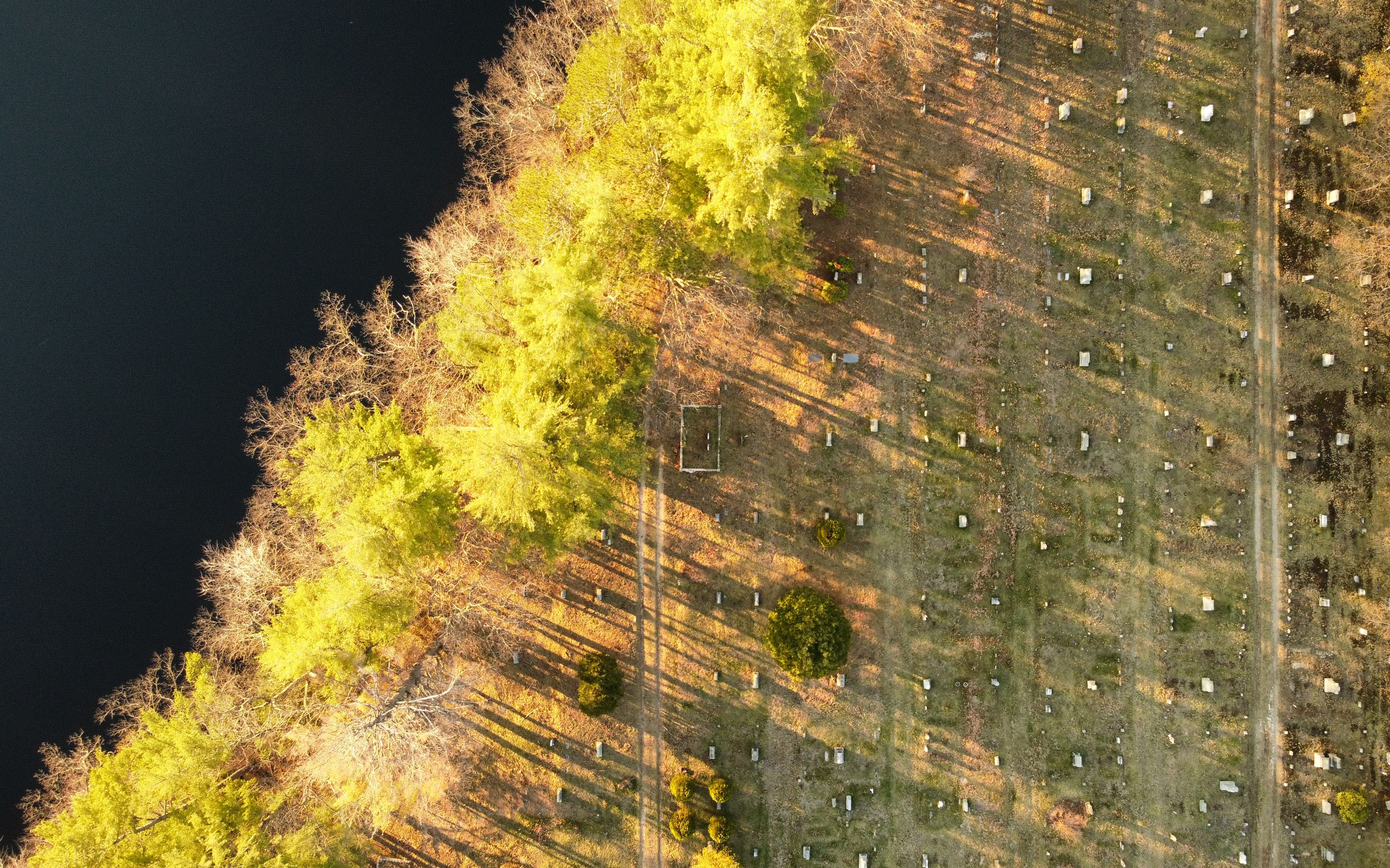 Birds Eye View of a Cemetery · Free Stock Photo