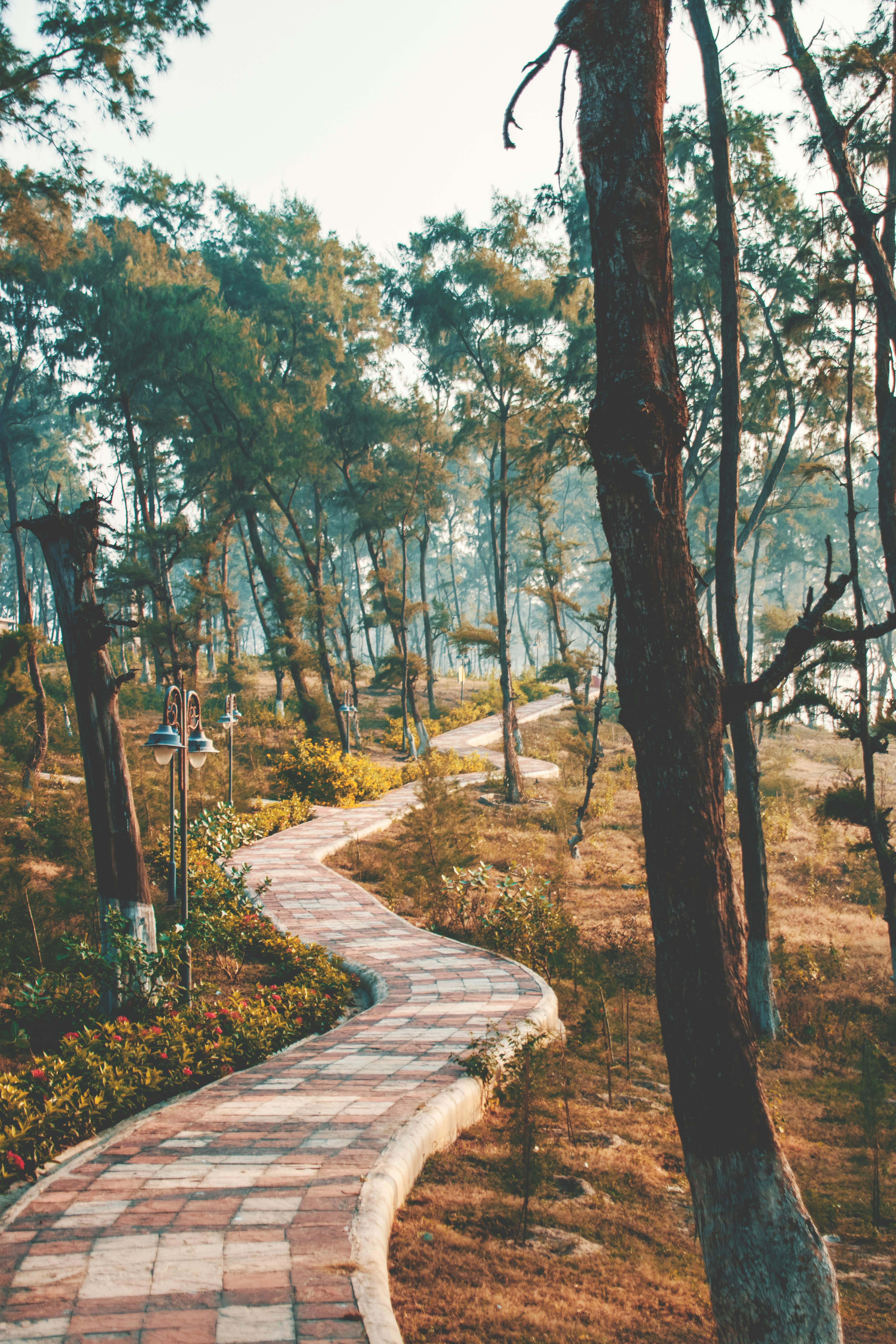 Paved Pathway With Pennant Banners · Free Stock Photo
