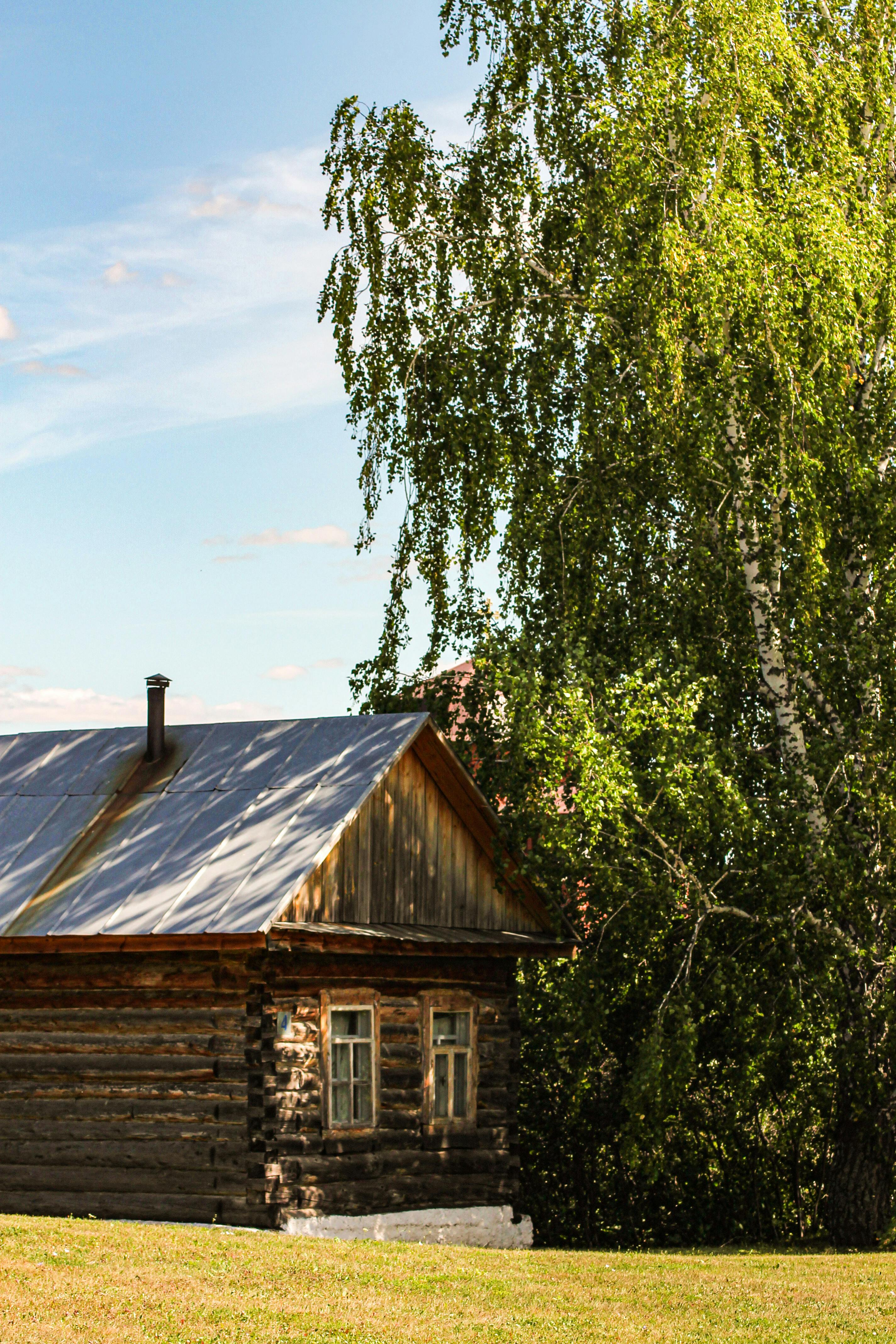 Wooden House Near a Tree · Free Stock Photo