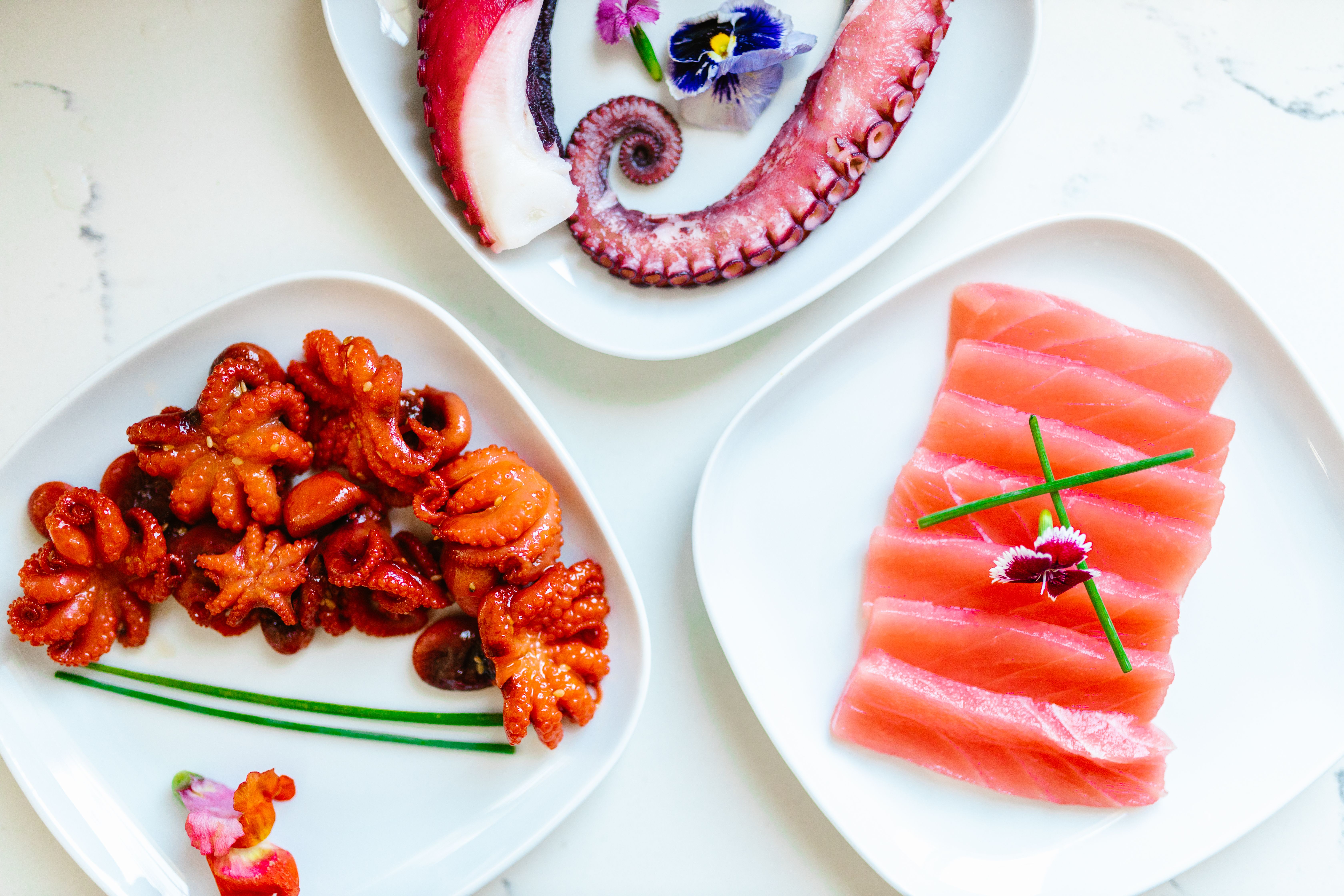 Seafood Plates Photos, Download The BEST Free Seafood Plates Stock ...
