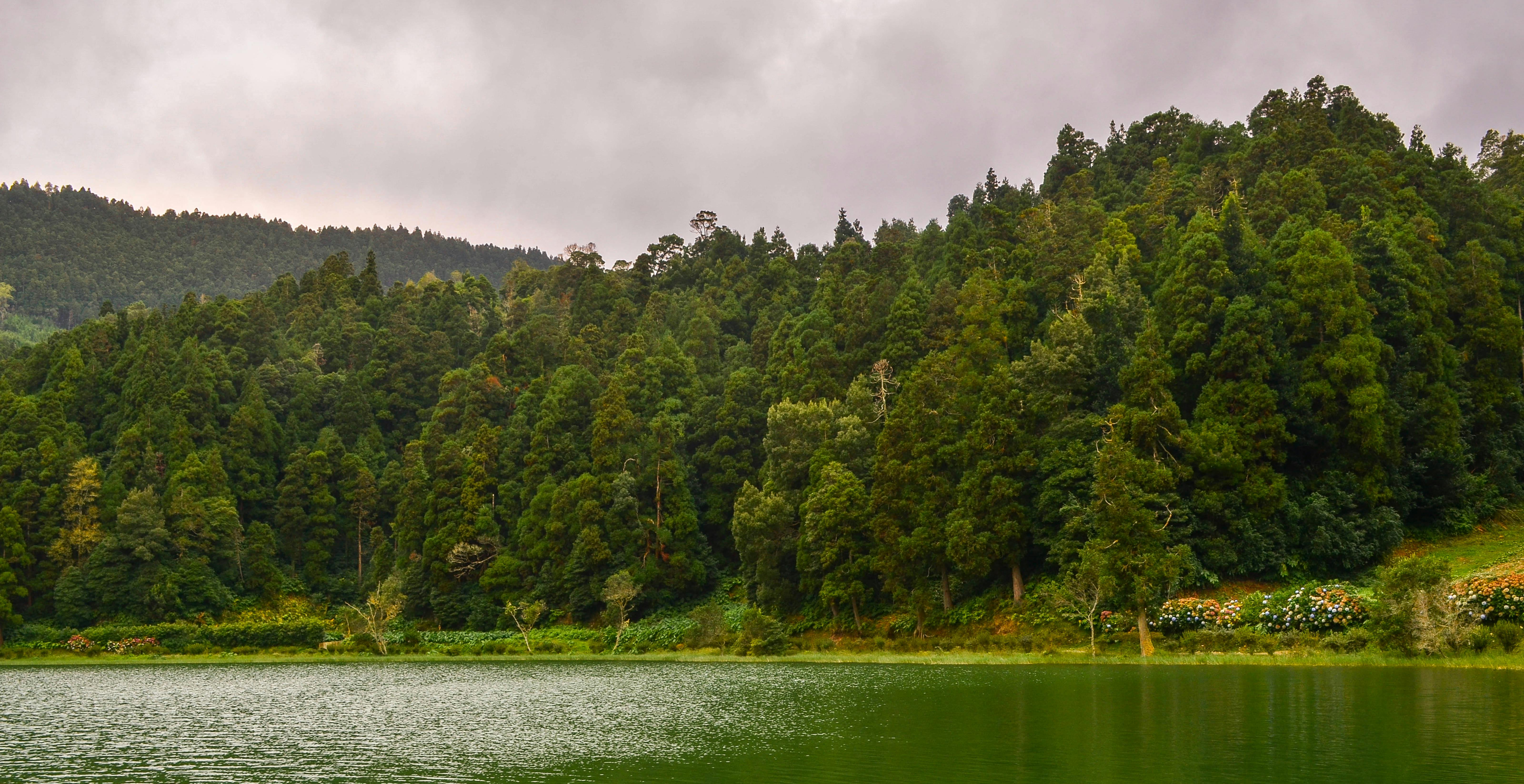 Peaceful Scenery of a Lake · Free Stock Photo