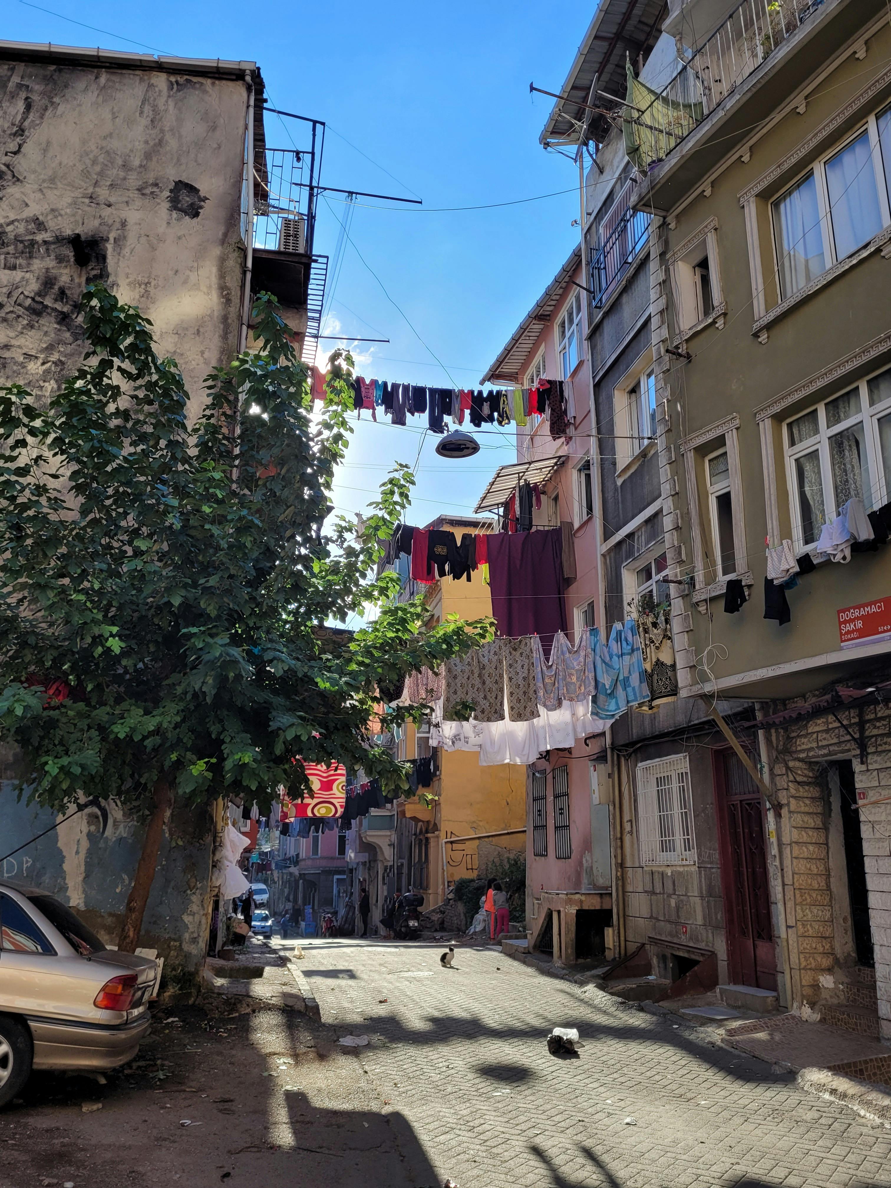 Cameron Michael Smith - Photography