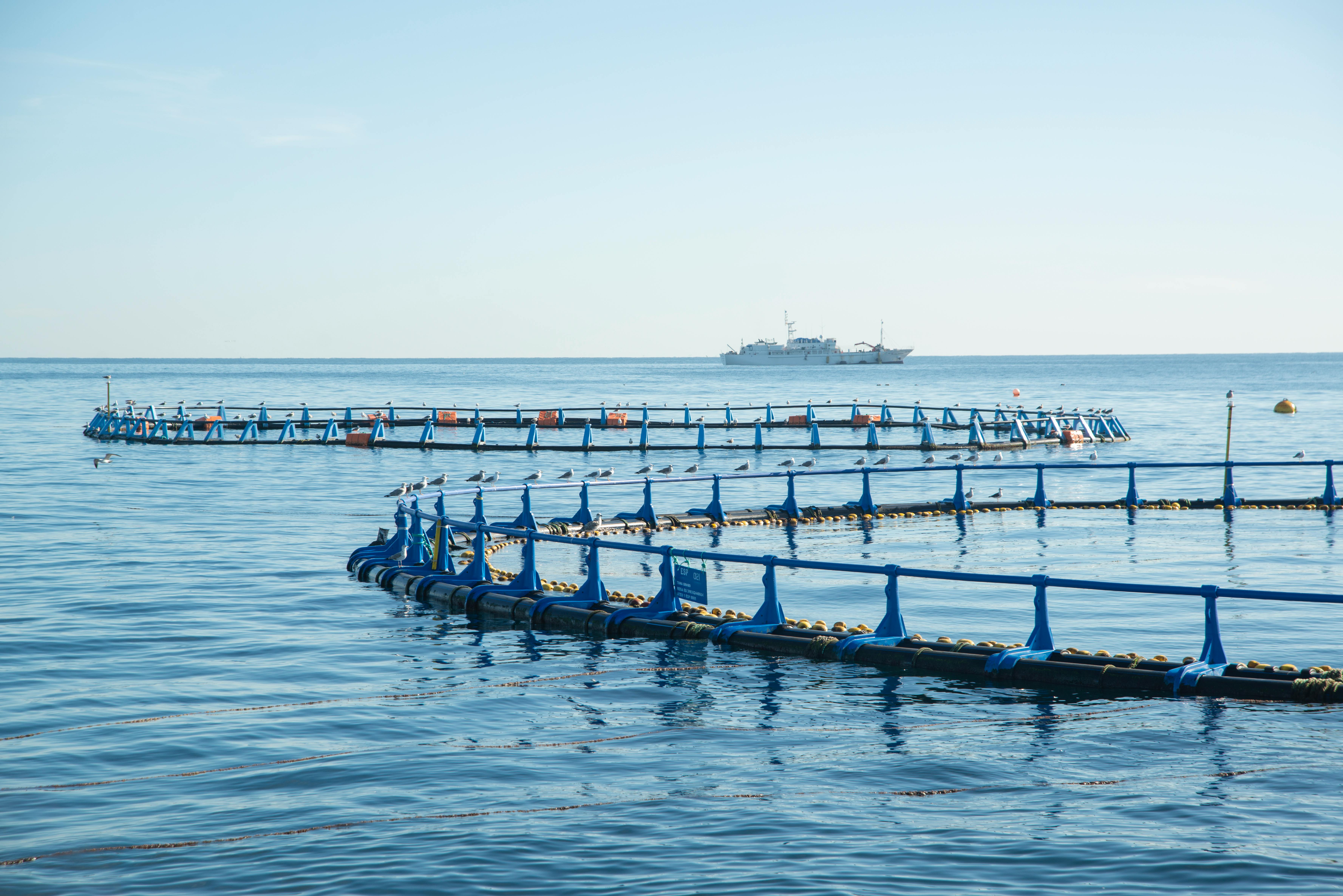Commercial Aquaculture Photos, Download The BEST Free Commercial ...