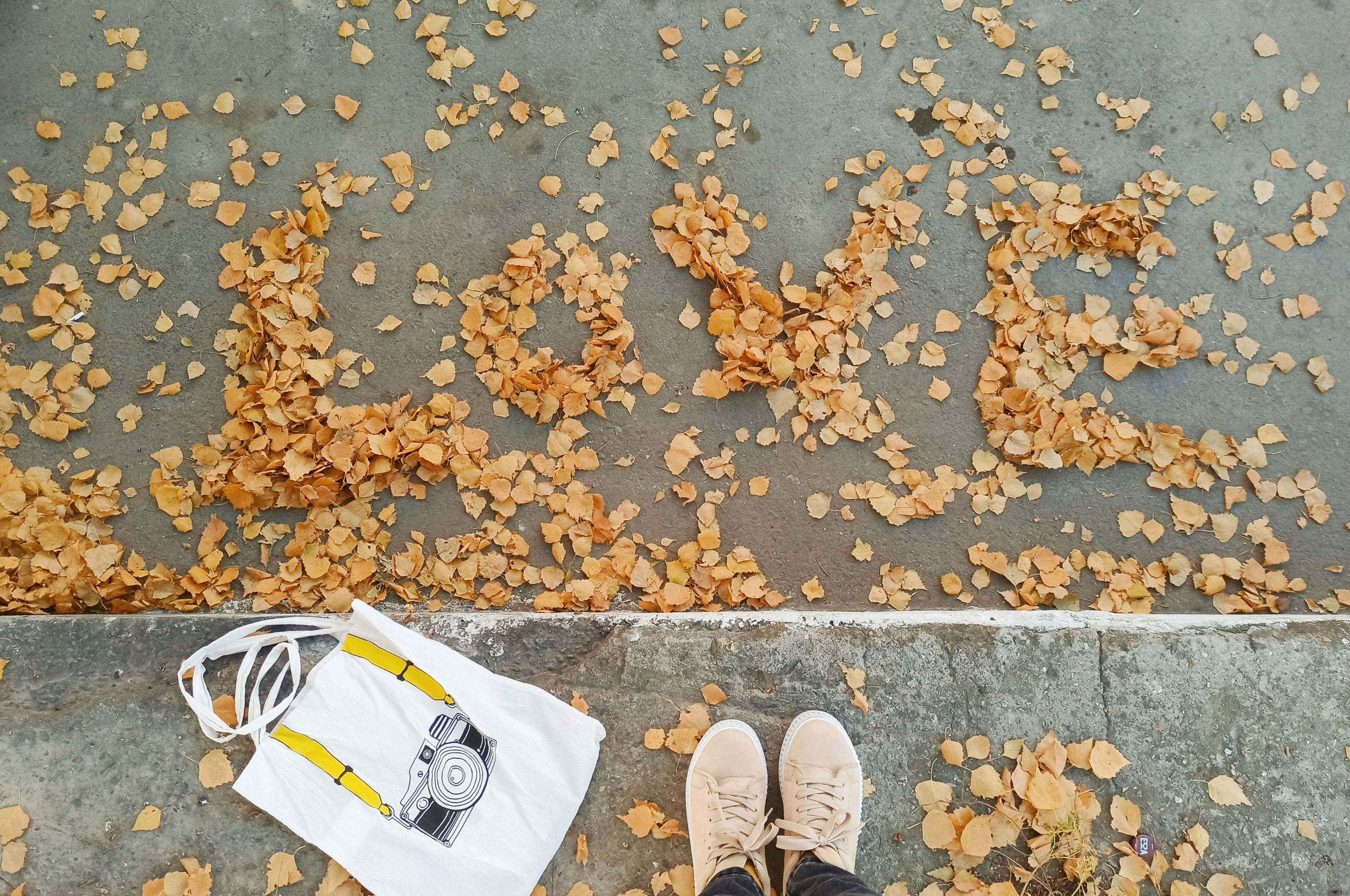 Fall Vibes Word Photos, Download The BEST Free Fall Vibes Word Stock ...