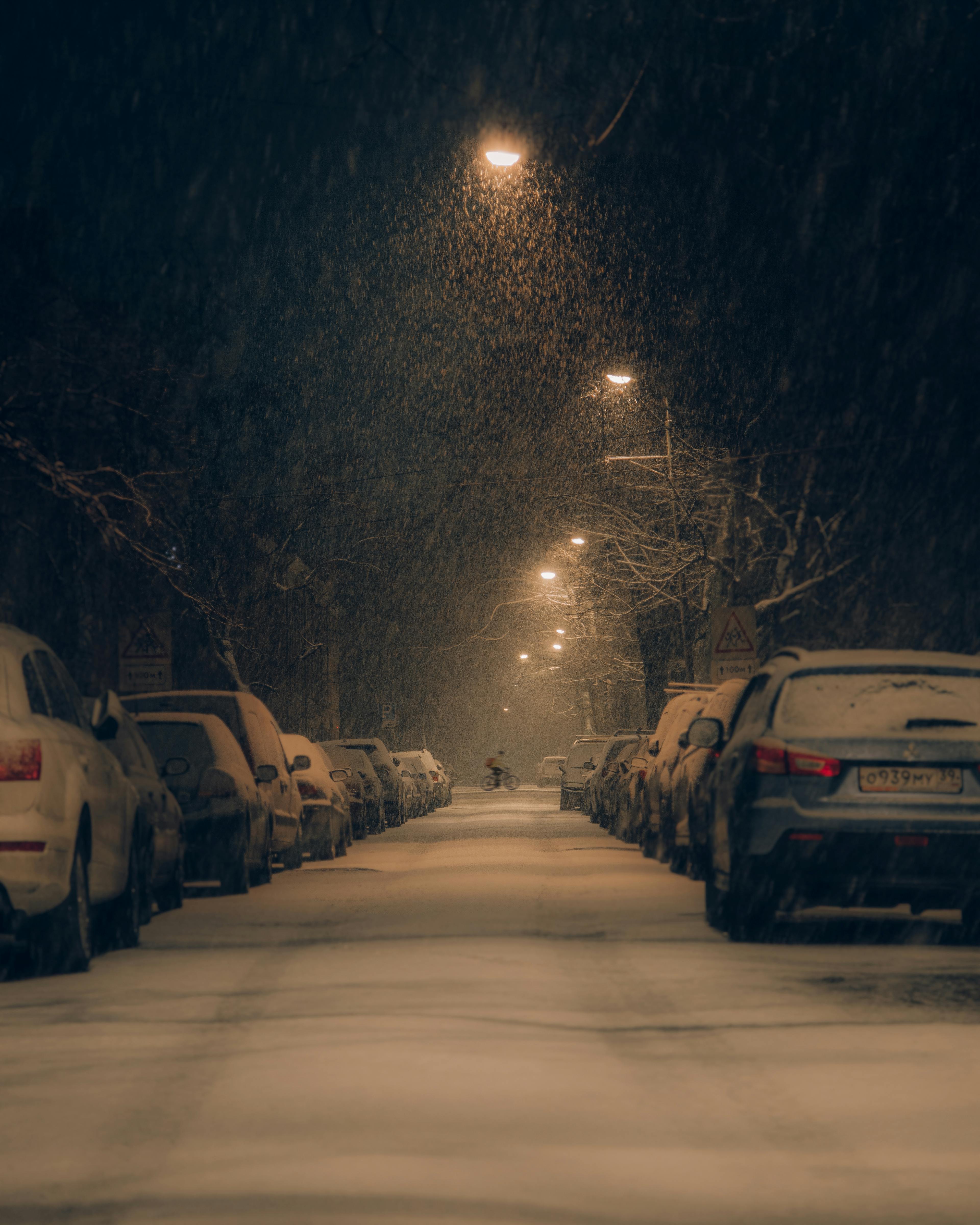 Heavy Snowfall Photos, Download The BEST Free Heavy Snowfall Stock ...