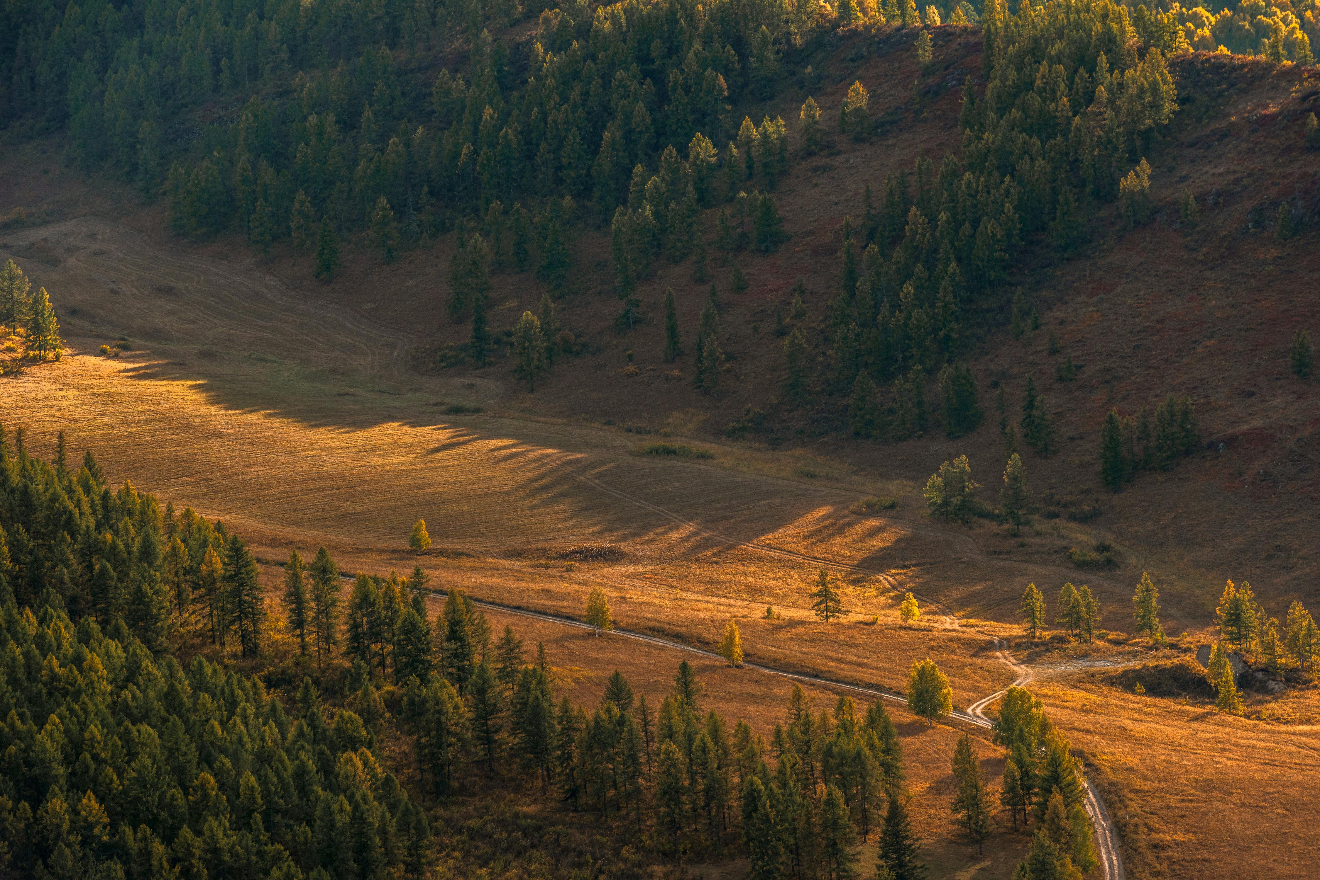 Aerial View of a Landscape · Free Stock Photo