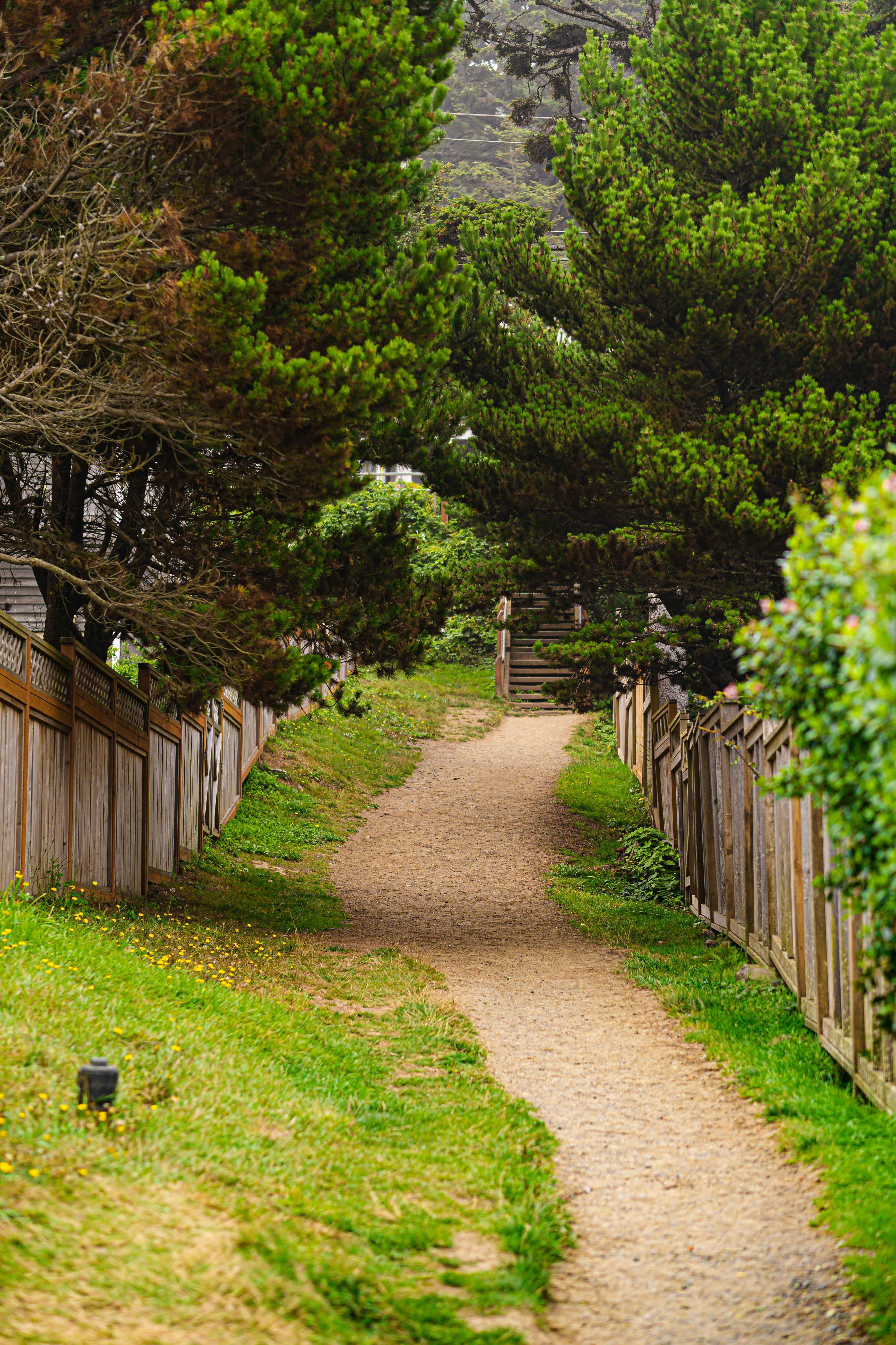 A Sloped Unpaved Pathway · Free Stock Photo