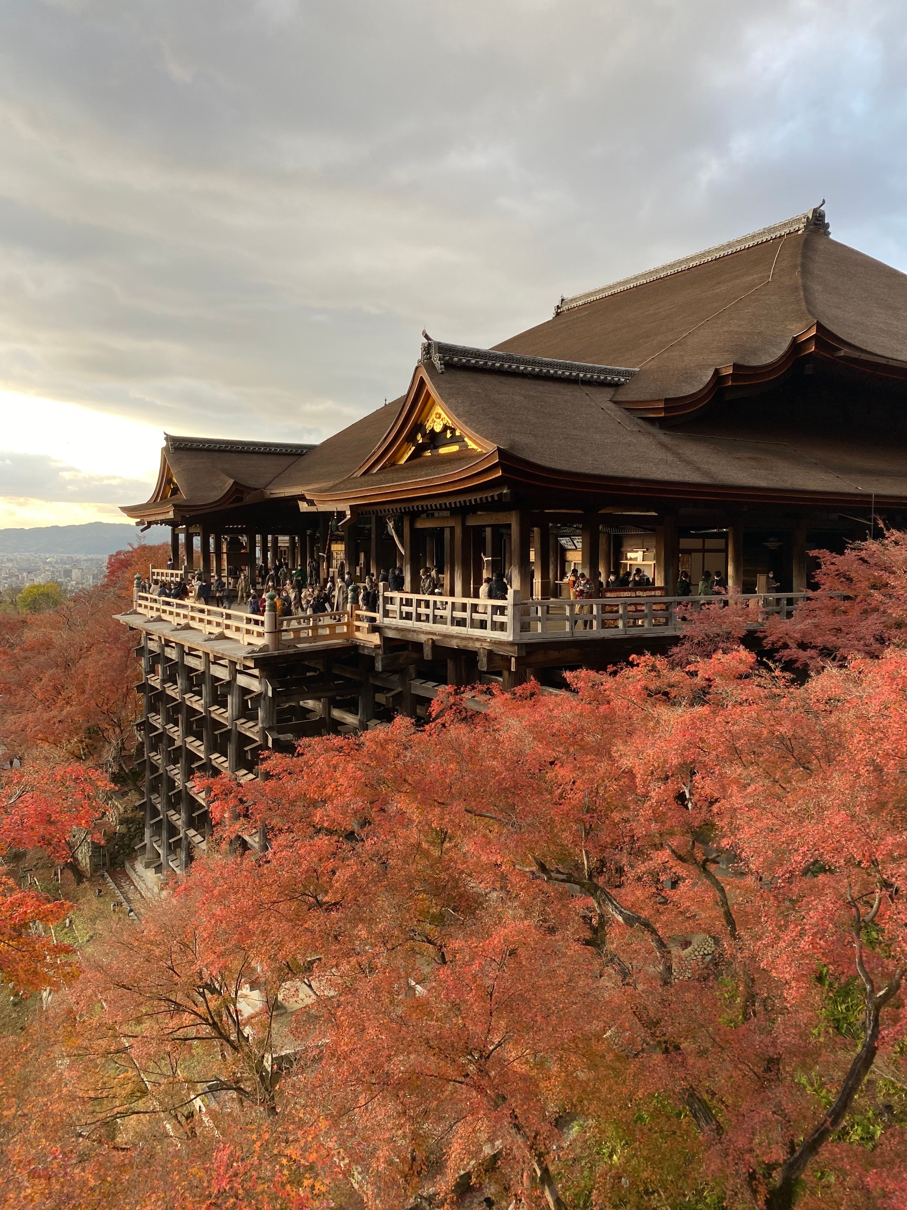 The Stage of Kiyomizu Among the Trees, Kyoto, Japan · Free Stock Photo