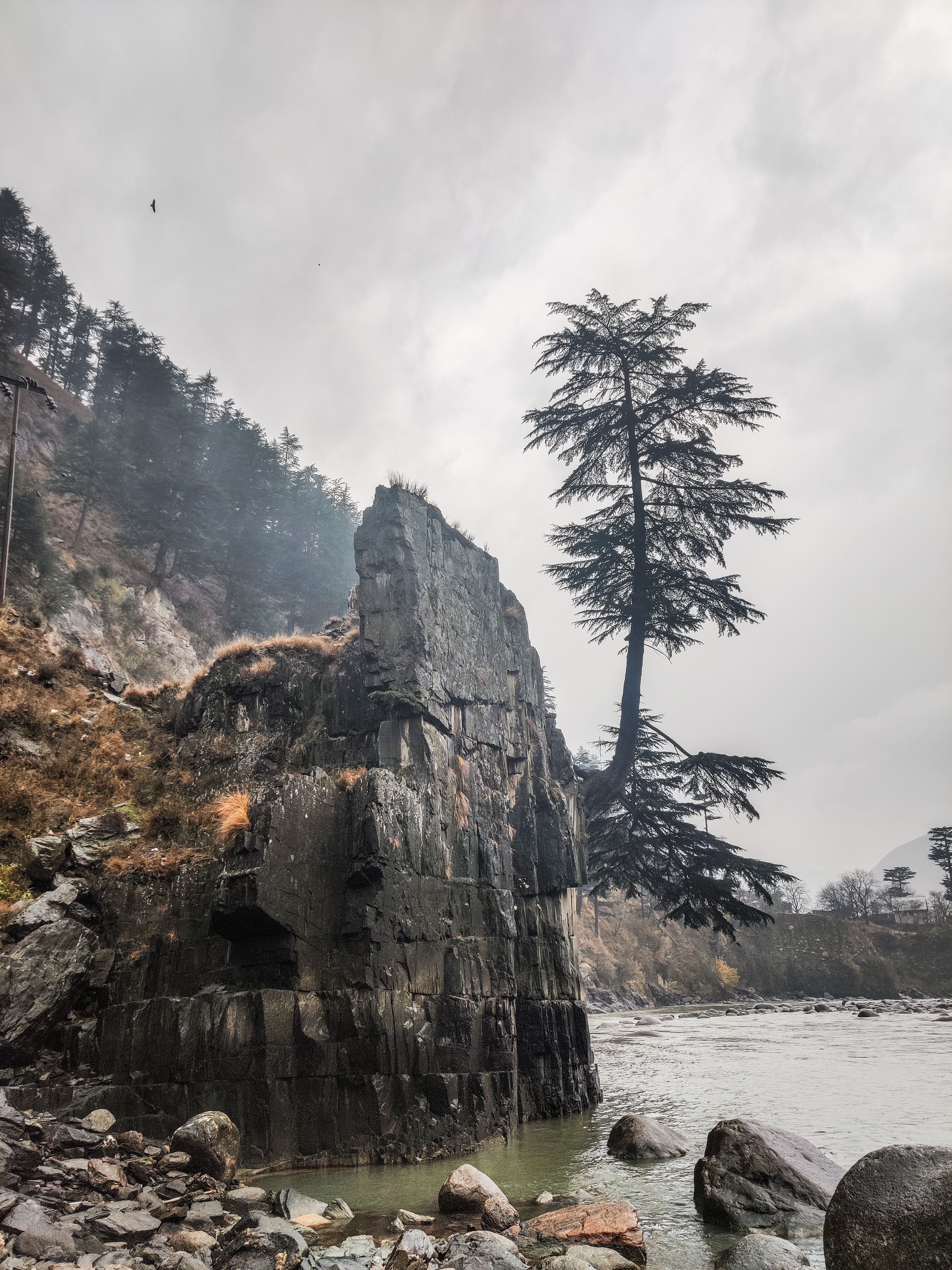 A Green Tree and a Cliff Wall Near a Body of Water · Free Stock Photo