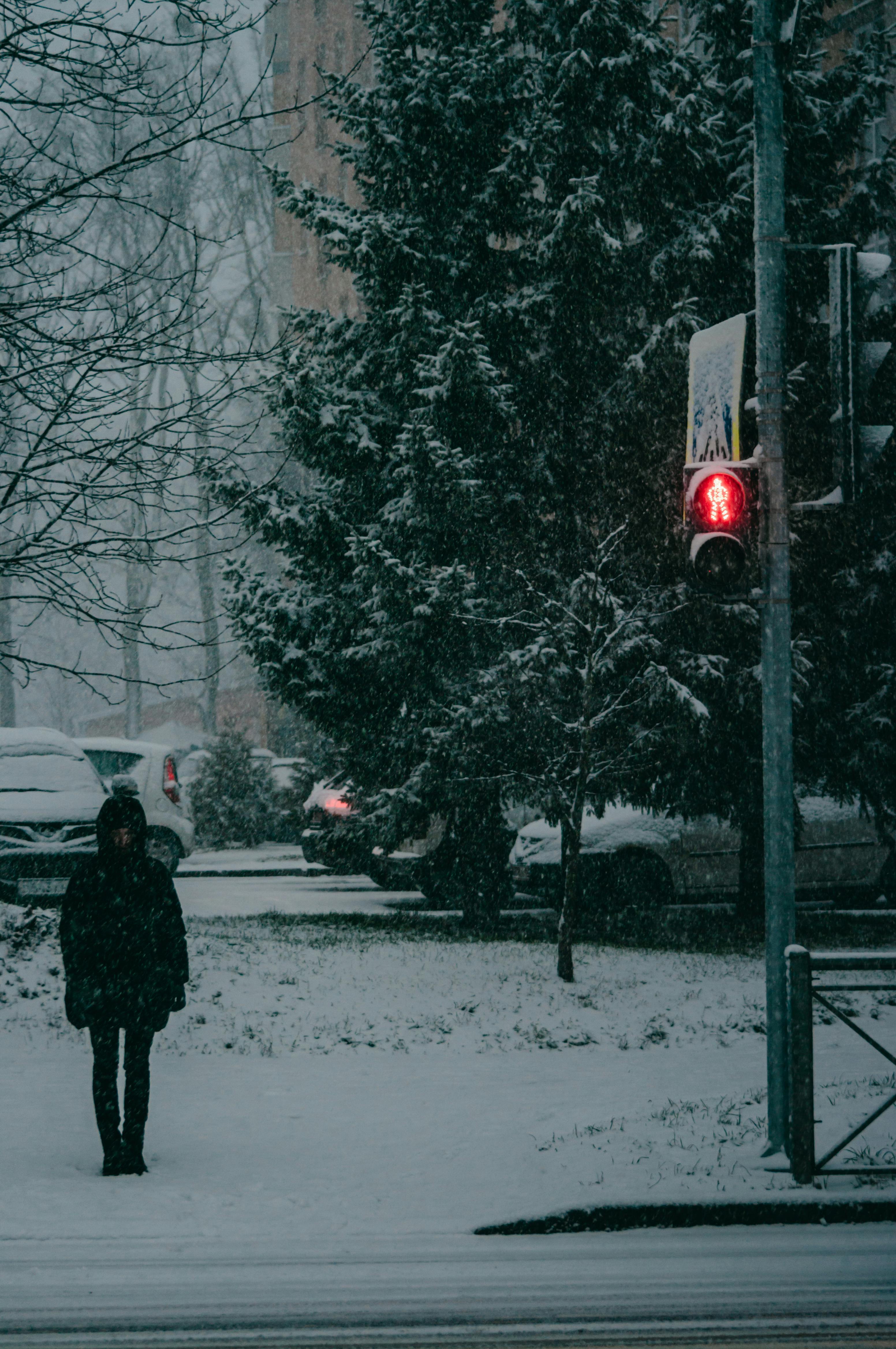 Photo of Pavement With Street Lights During Winter · Free Stock Photo