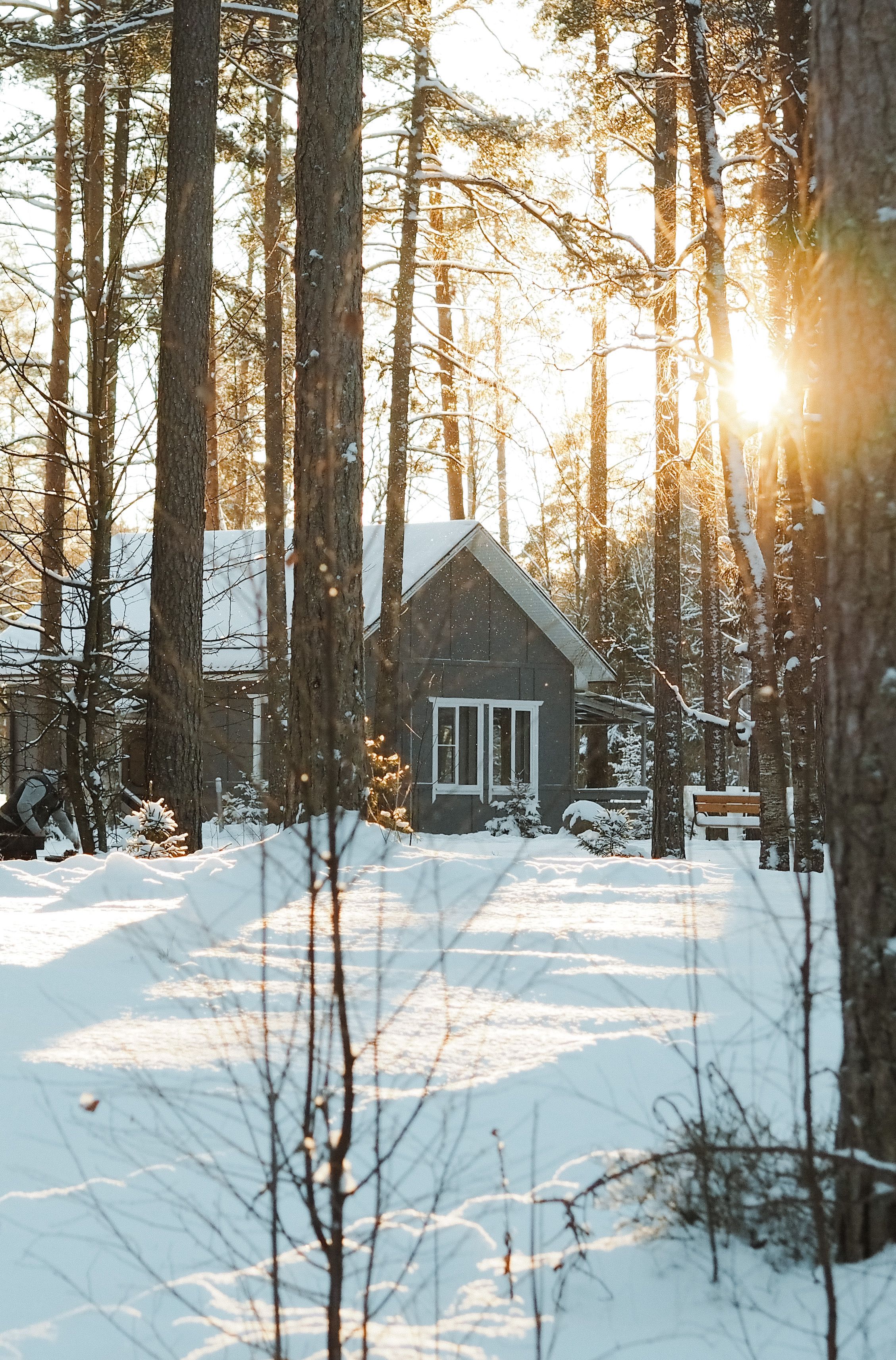 2,000+ Best Cottages Photos · 100% Free Download · Pexels Stock Photos