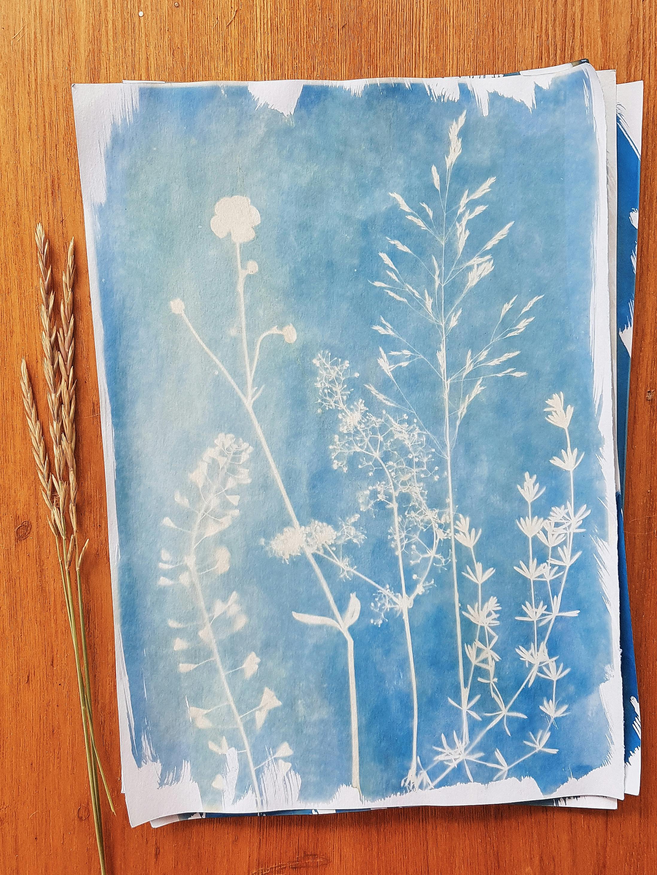 Flower Printmaking Photos, Download The BEST Free Flower Printmaking ...