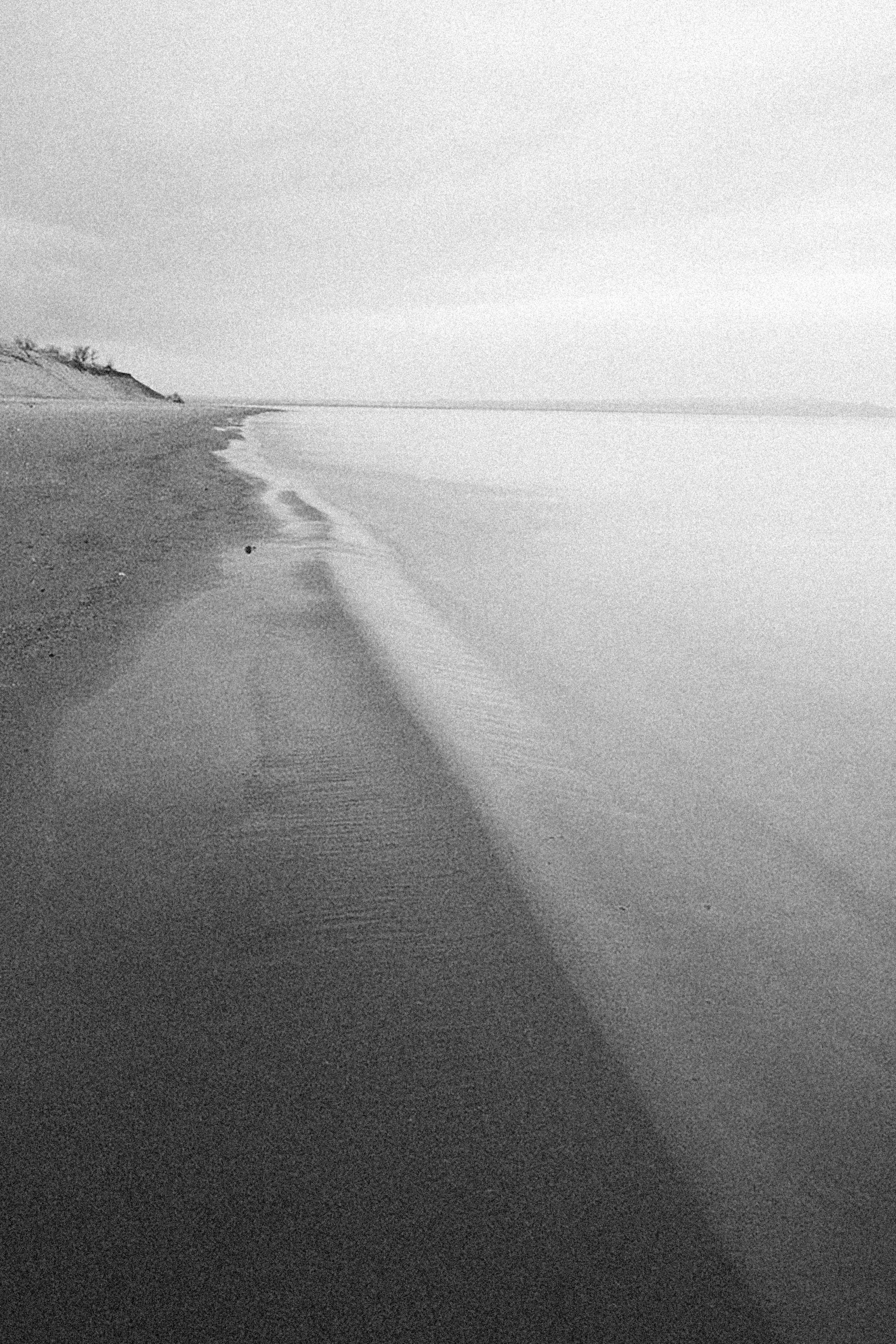 Grayscale Photo of Boys Playing on Beach Sand · Free Stock Photo