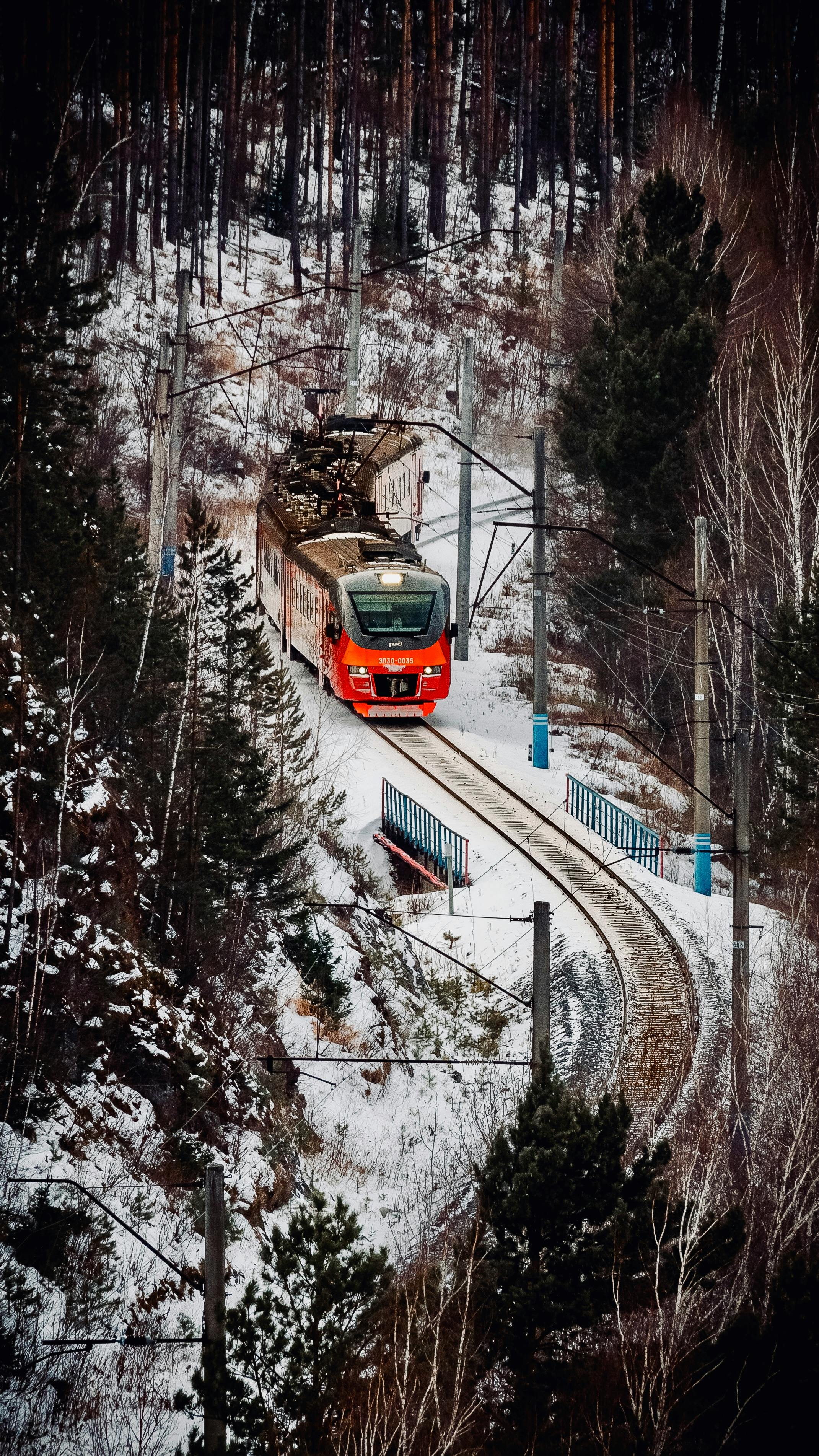 Train in Forest in Winter · Free Stock Photo