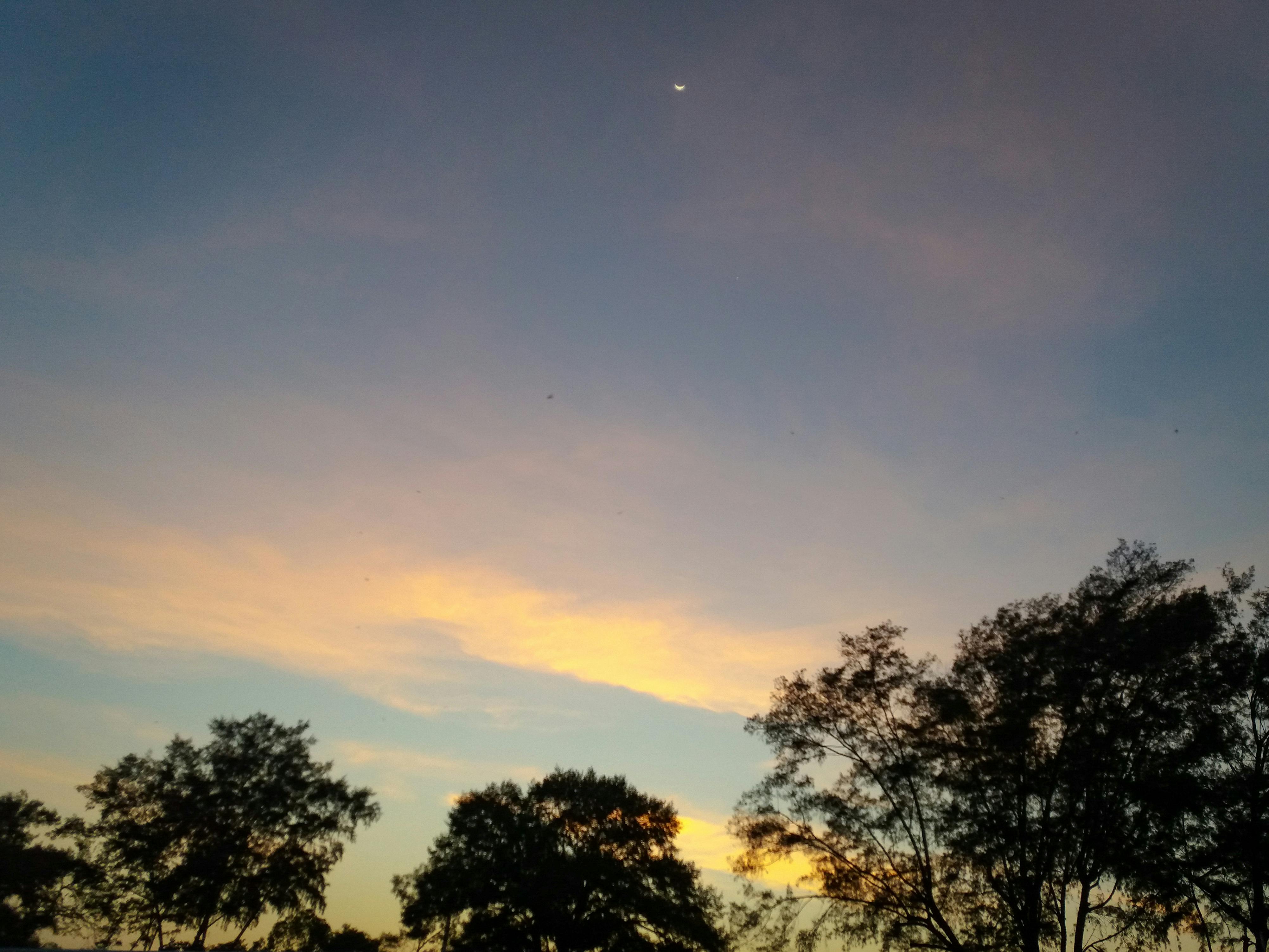 Free stock photo of blue sky, clear sky, evening sky