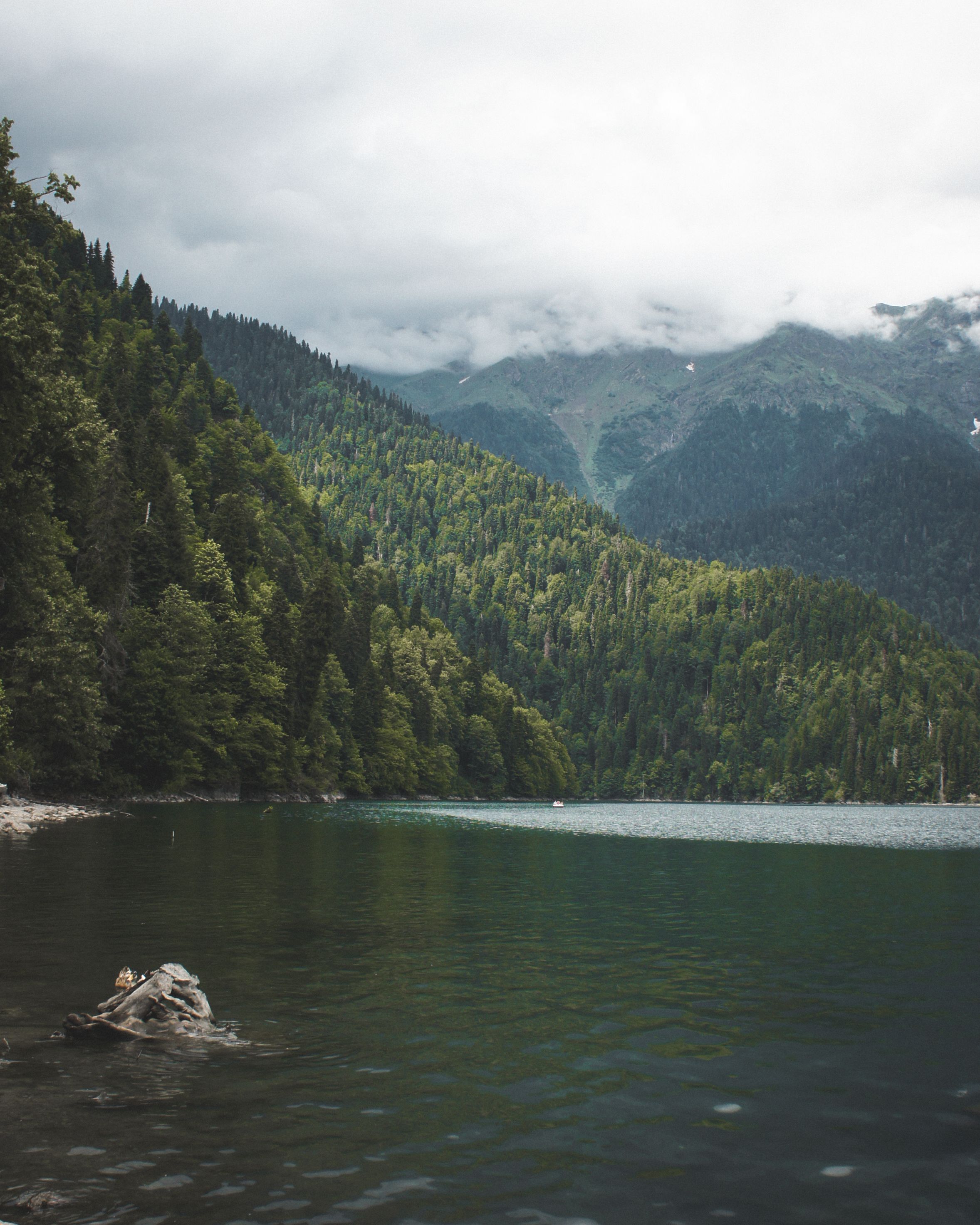Landscape with Lake, Forest and Mountains · Free Stock Photo