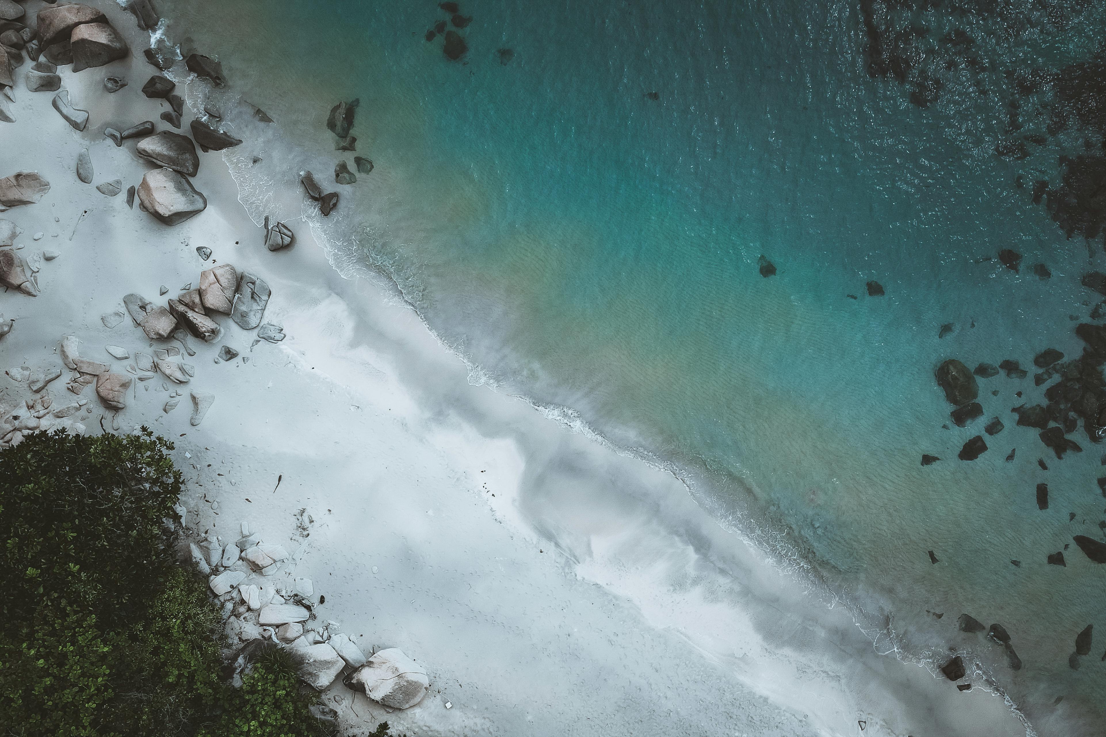 Bird's Eye View of Beach · Free Stock Photo