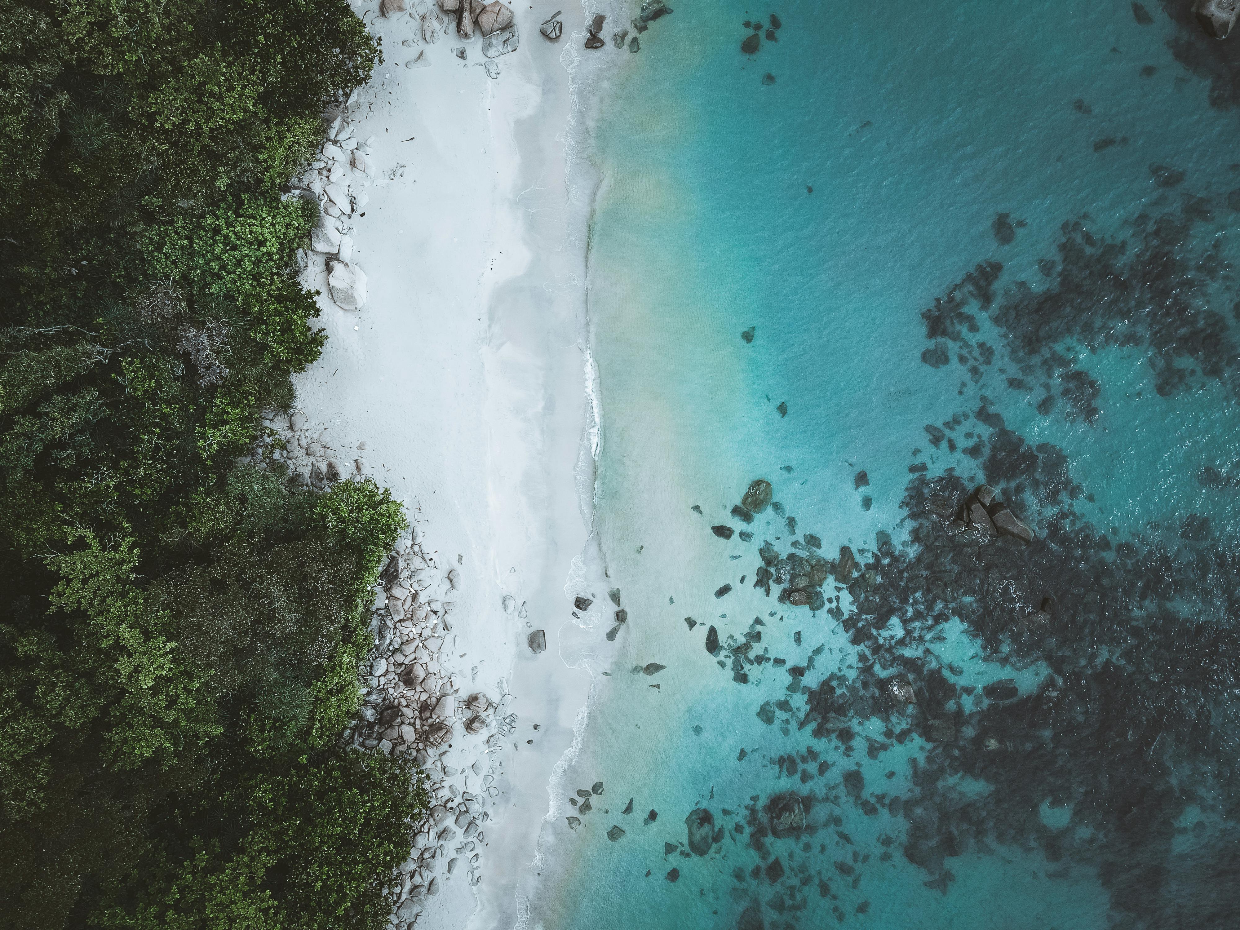 Aerial Photography of a Shore · Free Stock Photo
