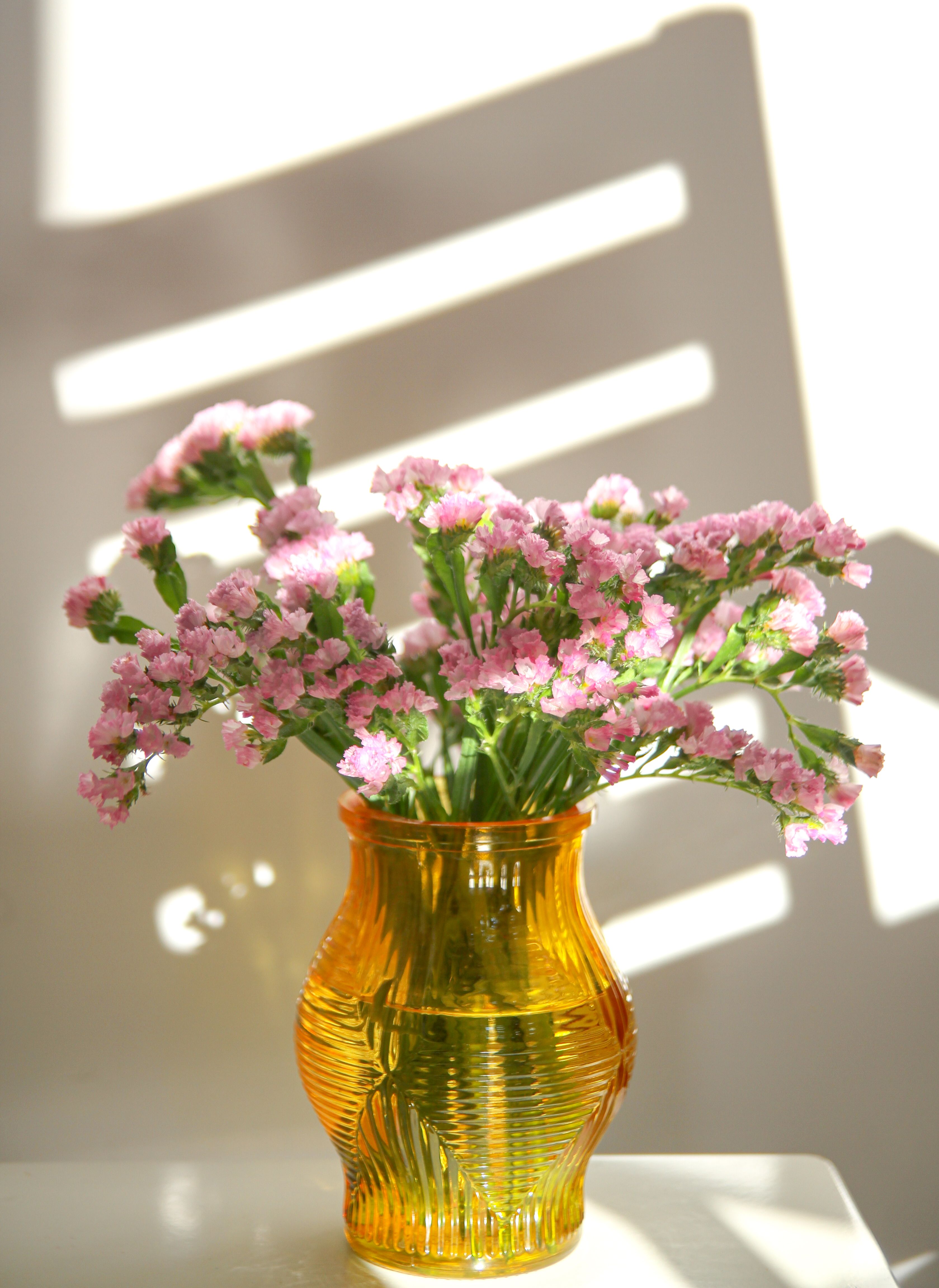 Flowers in Vase · Free Stock Photo