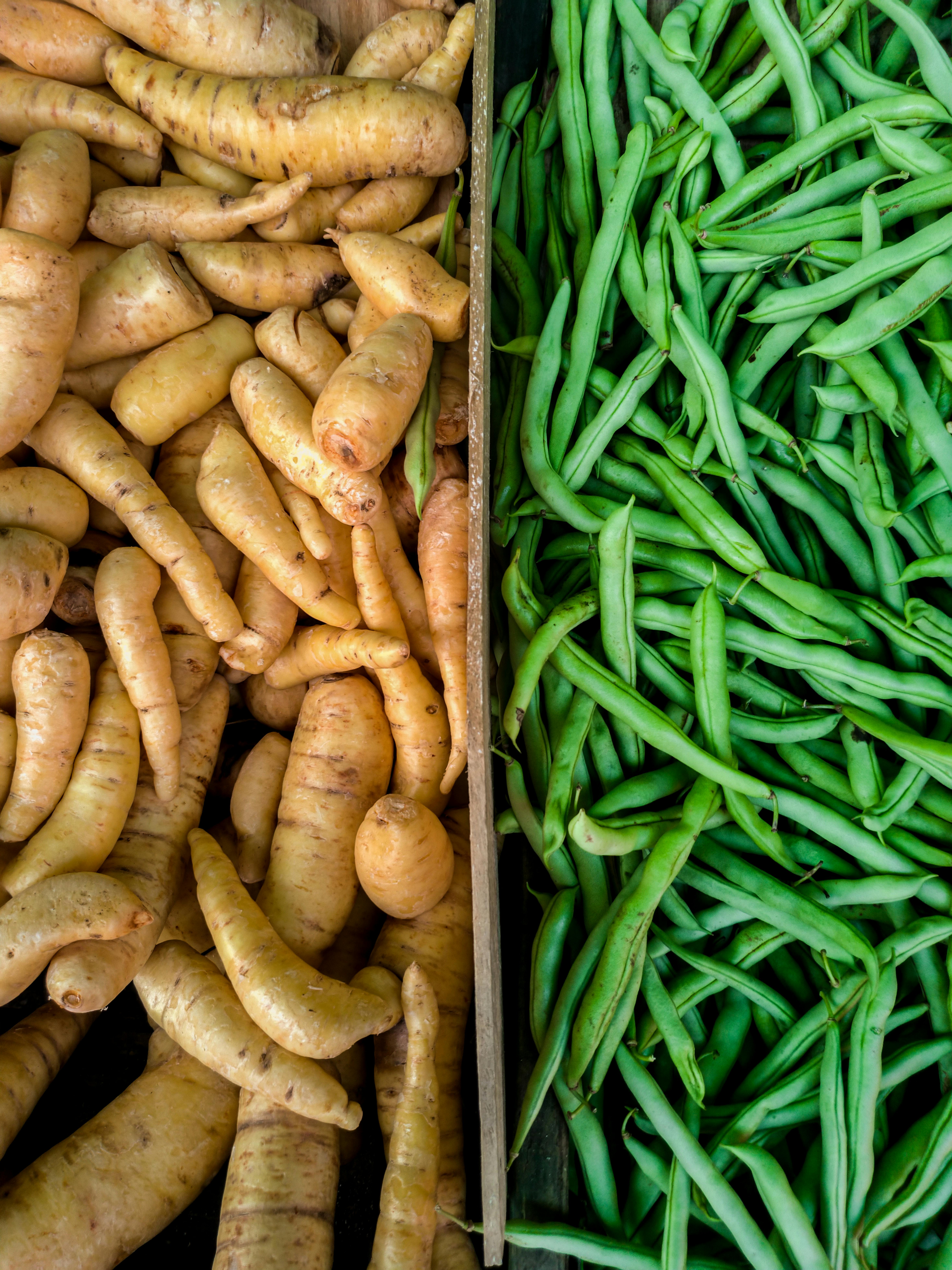 Close-up Photo of Shelling Beans · Free Stock Photo