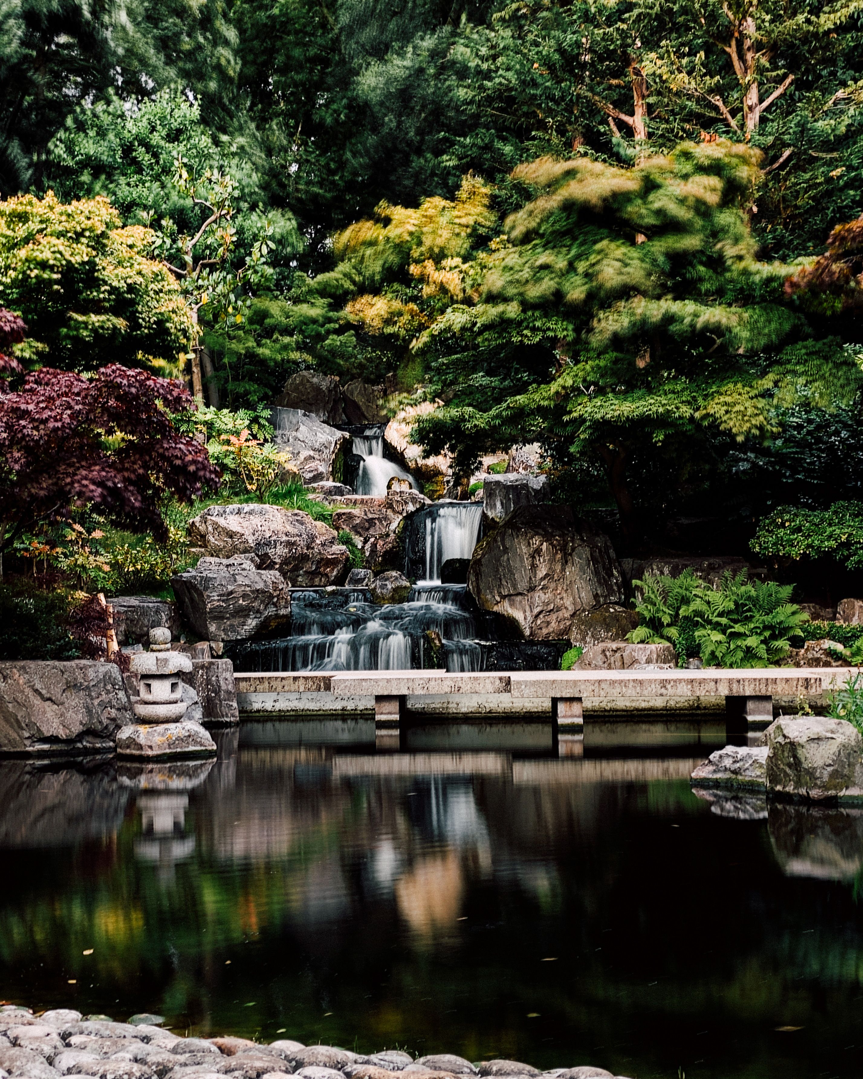 Japanese Rbg Photos, Download The BEST Free Japanese Rbg Stock Photos ...