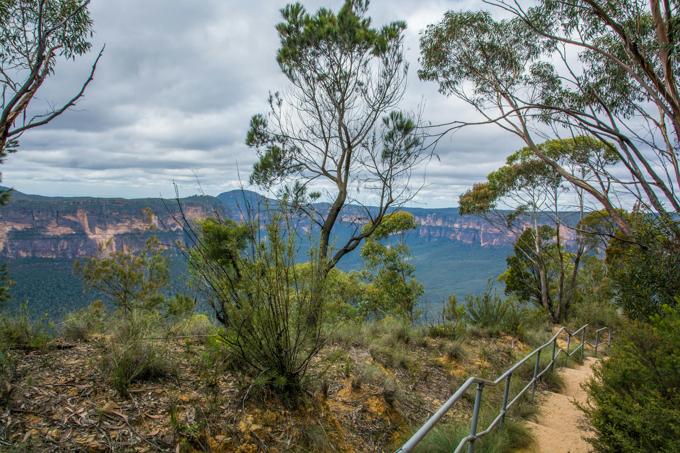 troy carroll - 摄影