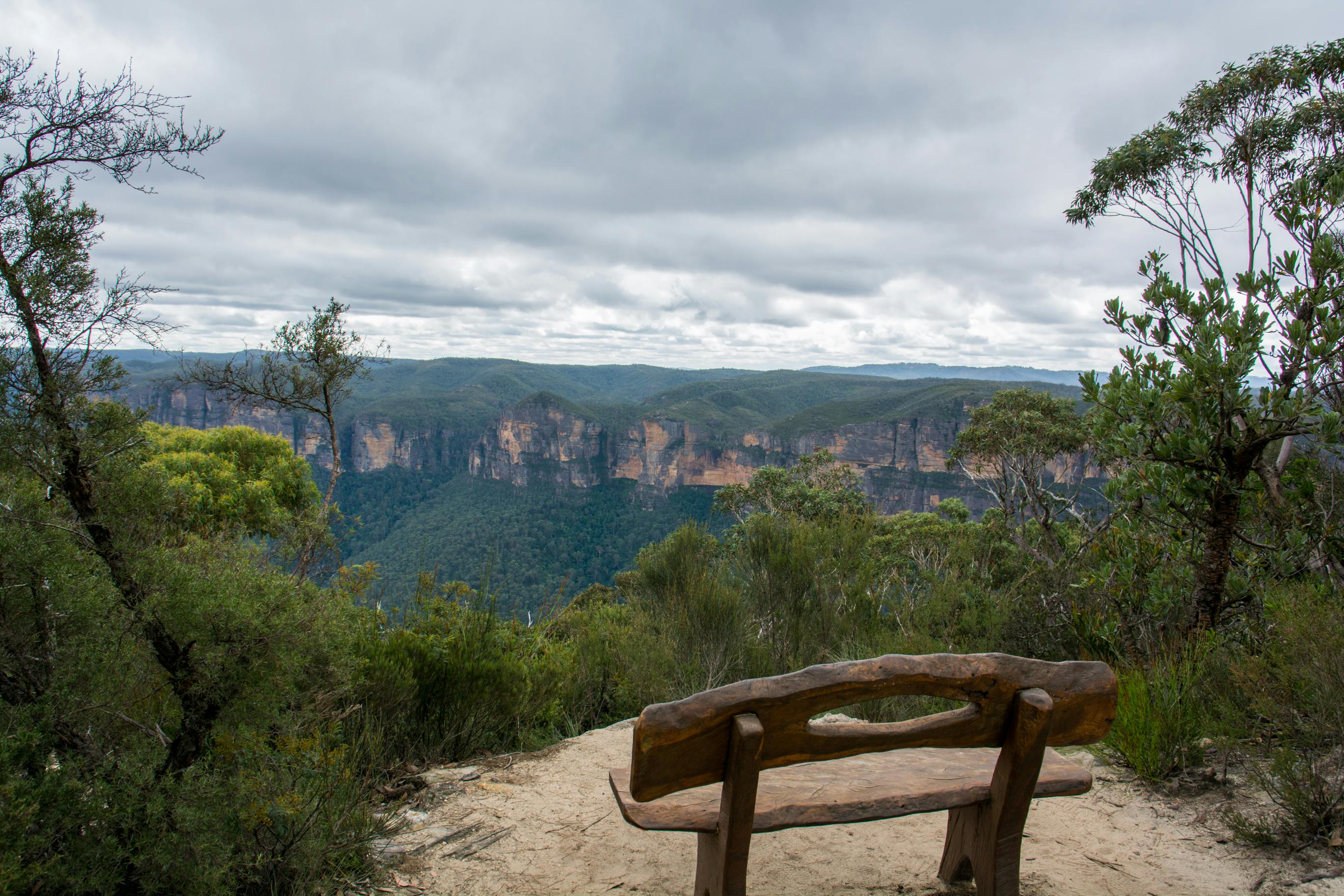 troy carroll - 摄影